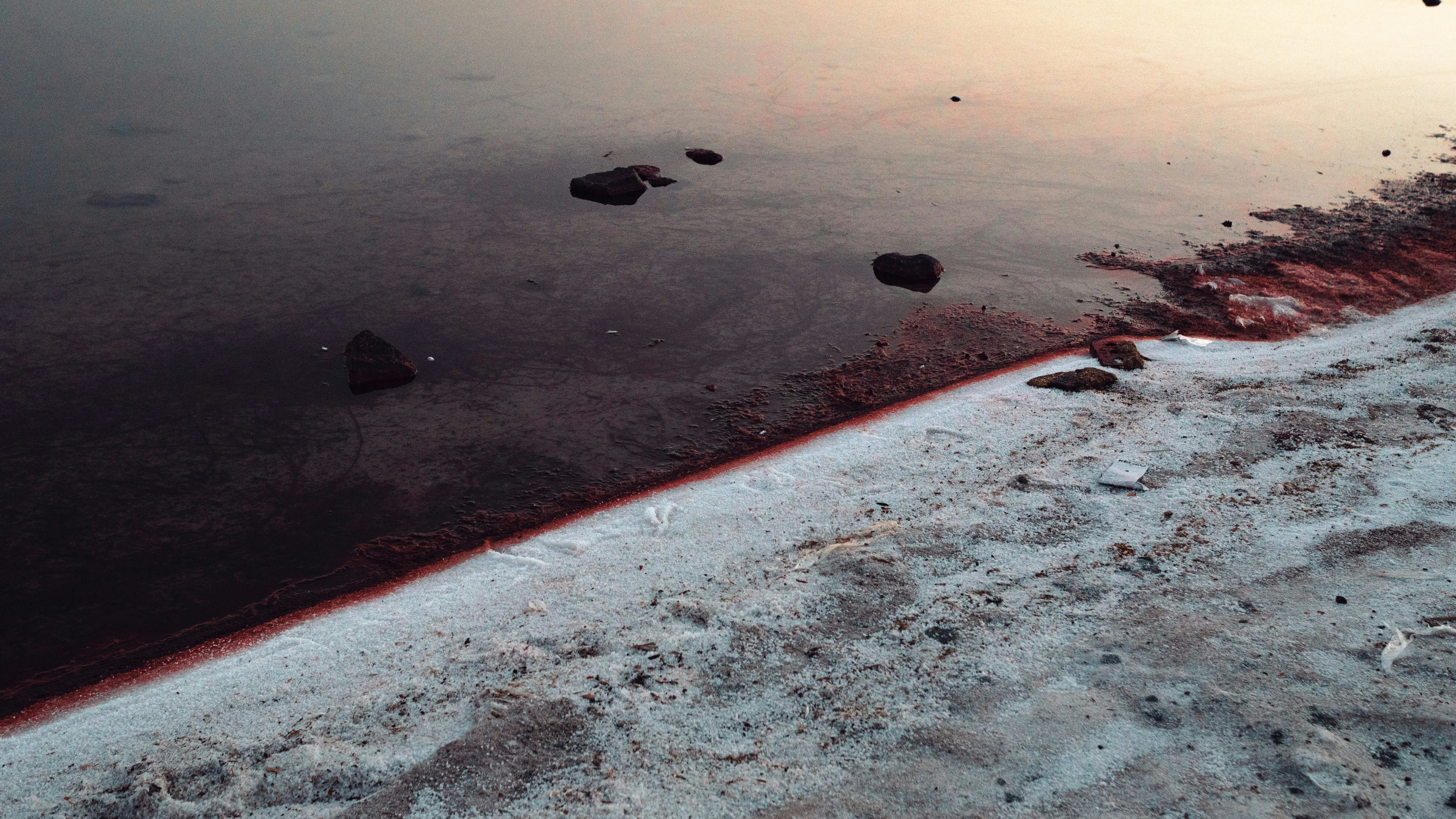 Crimson Shoreline Serenity