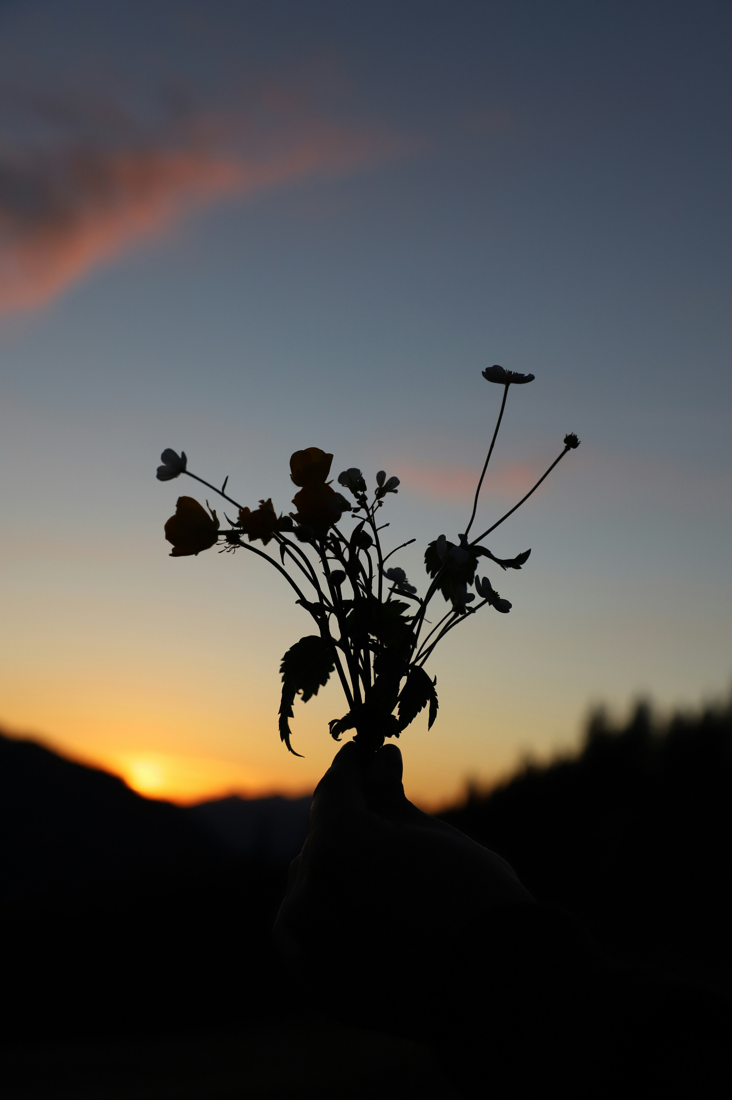 Silhouette bouquet at dusk: a hand-held bloom against a fading sky