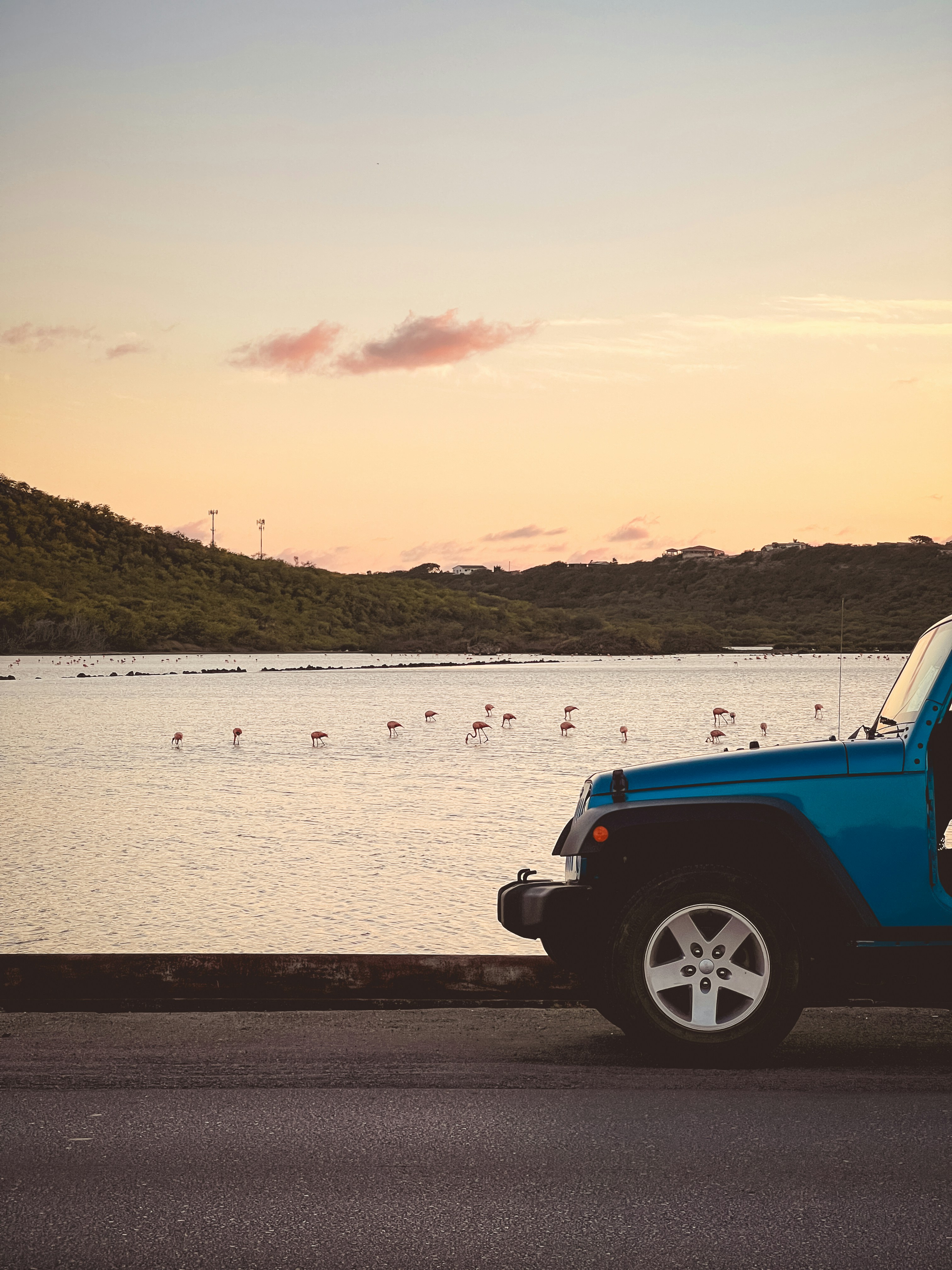 Coastal Cruiser: A Vibrant Escape