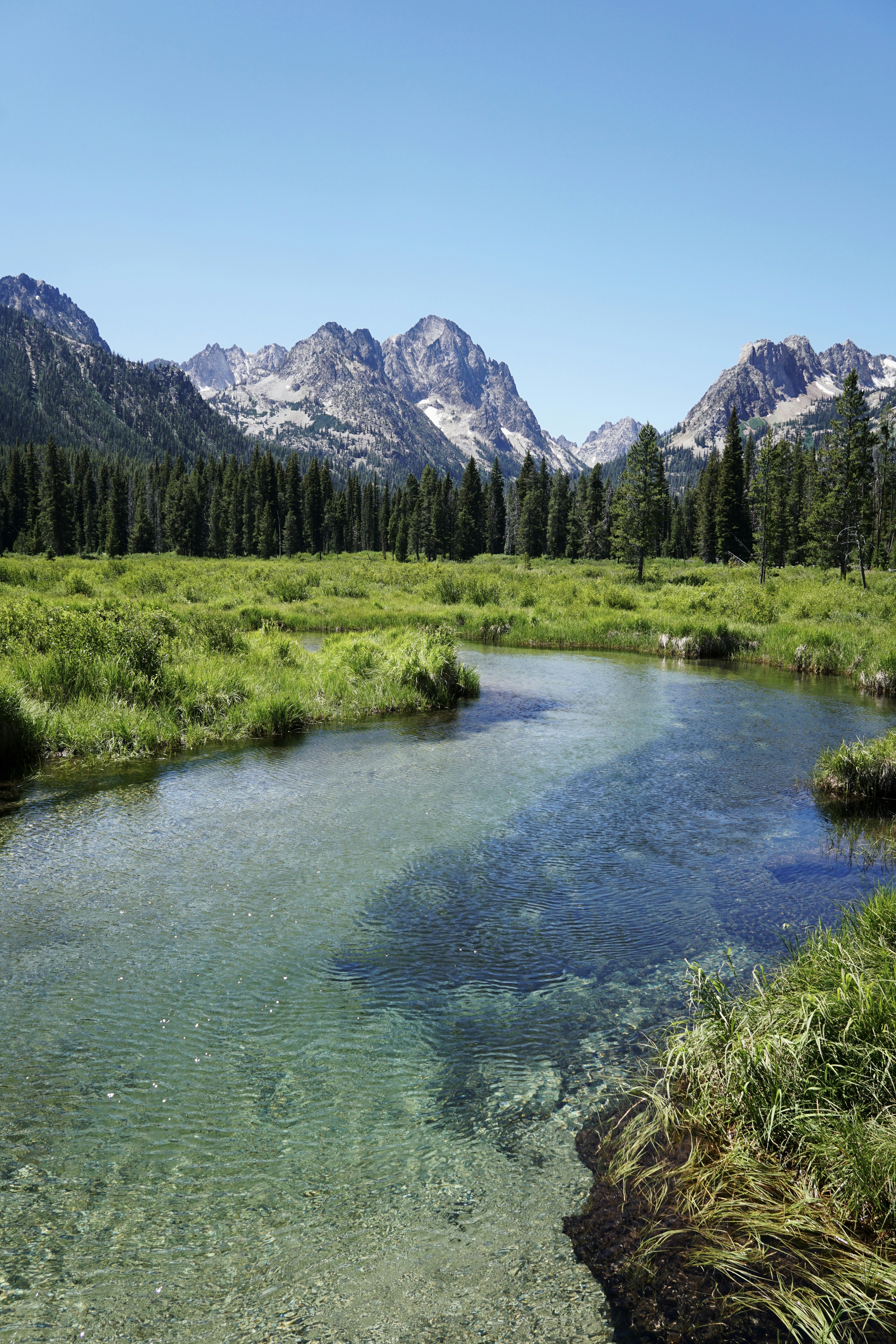 Cold river in Sawtooth