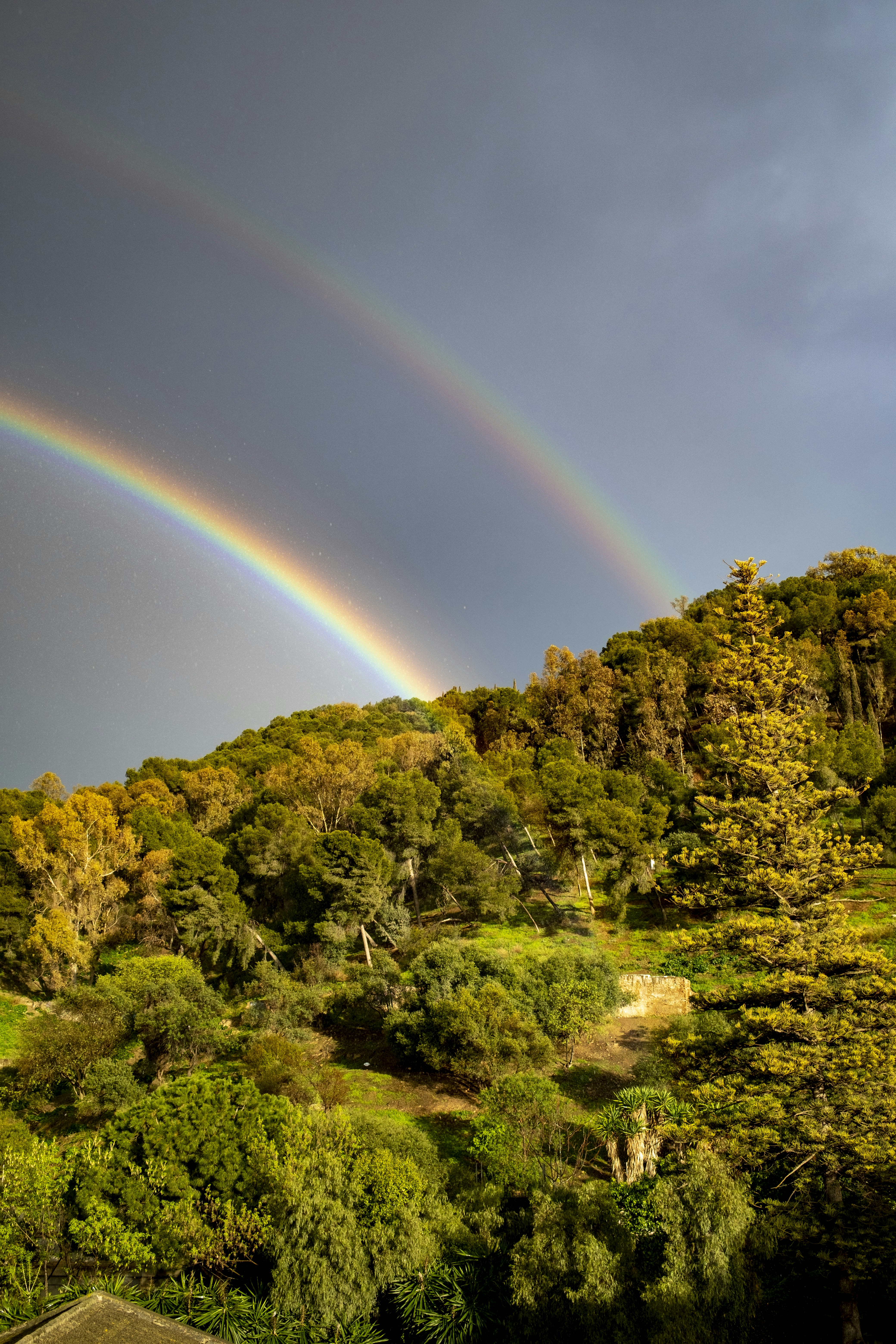 Double Rainbow Over a Sunlit Forested Ridge