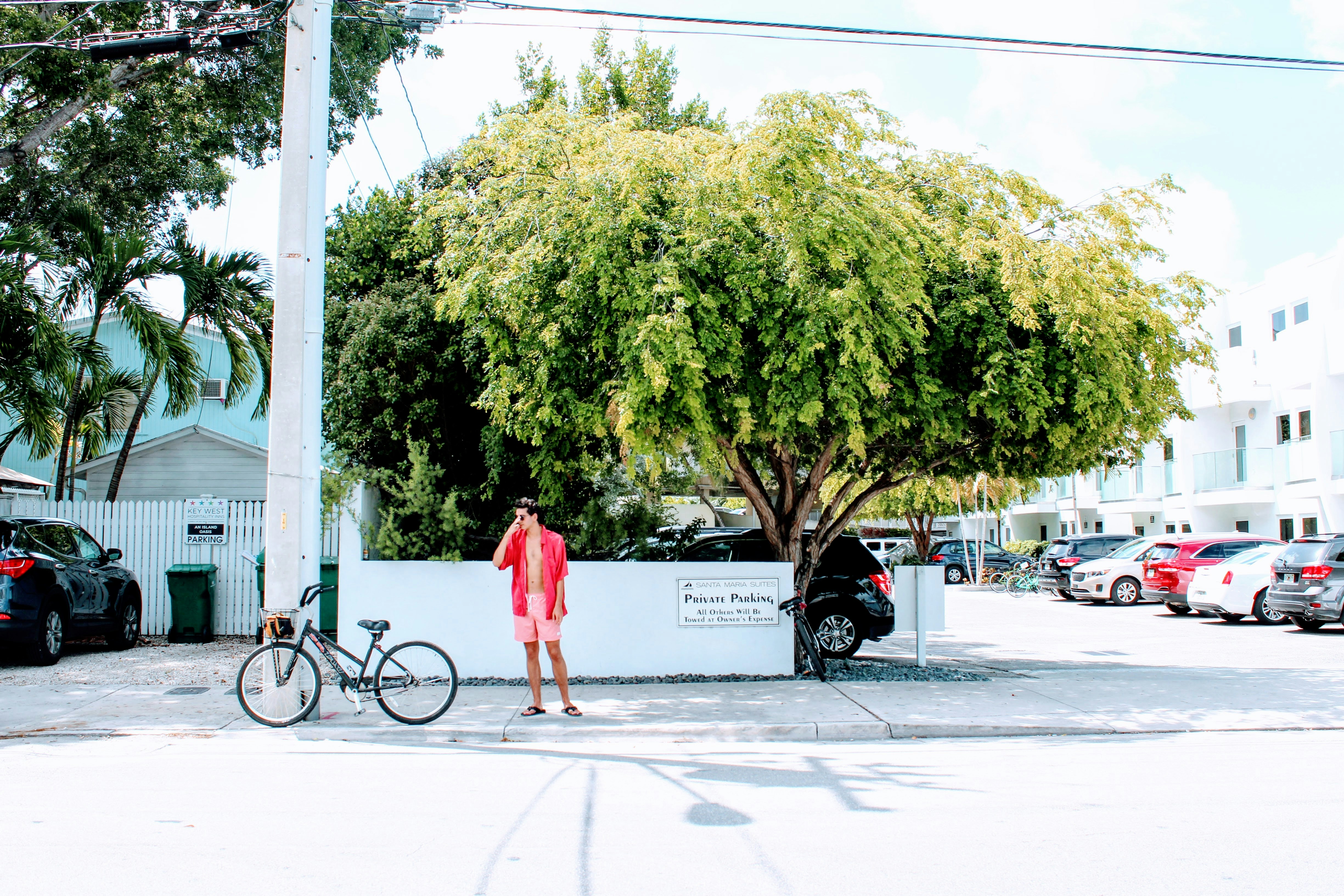 Photo by Meg Jenson with Canon EOS 650D