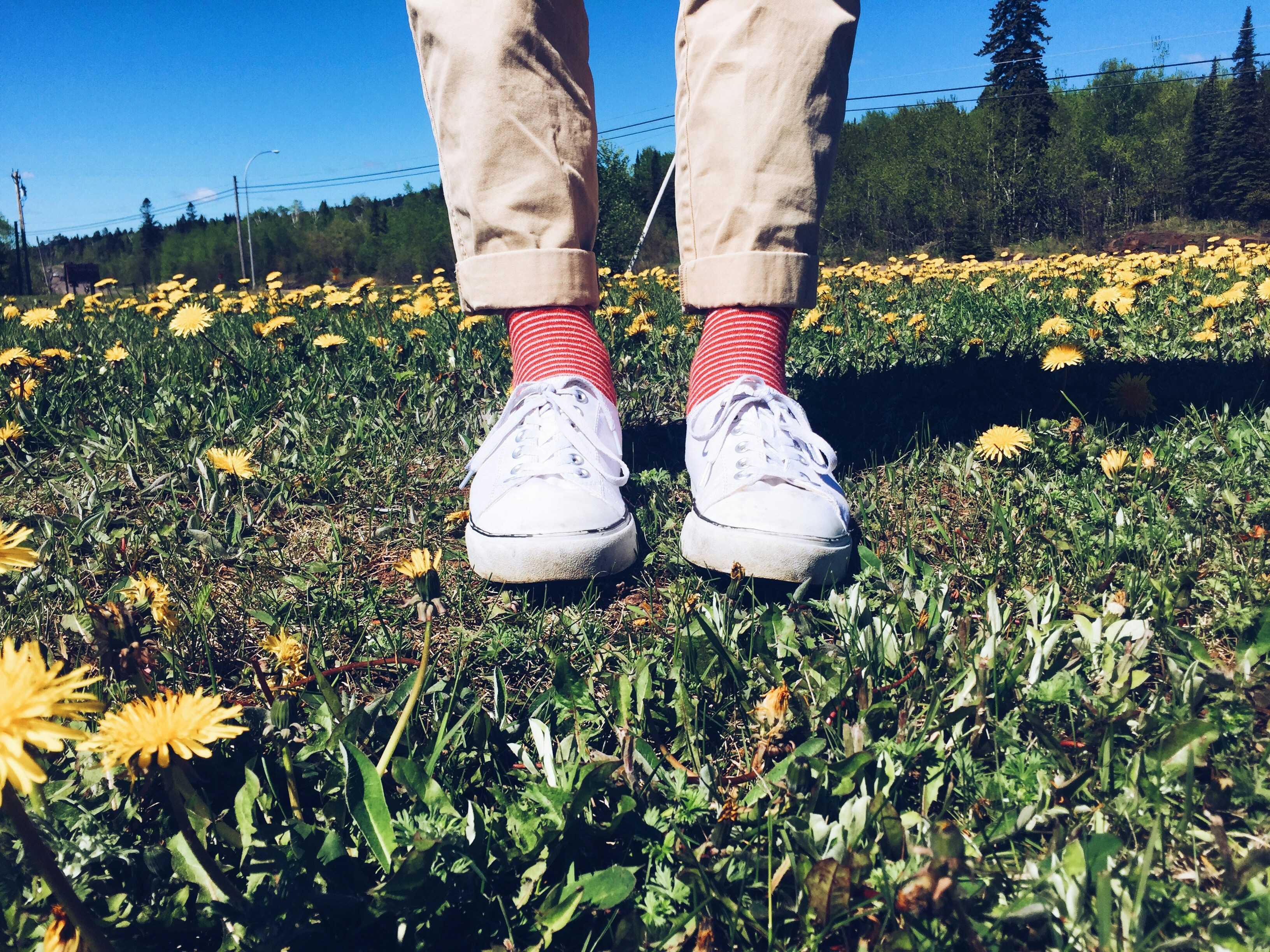 Photo by Meg Jenson with Apple iPhone 6