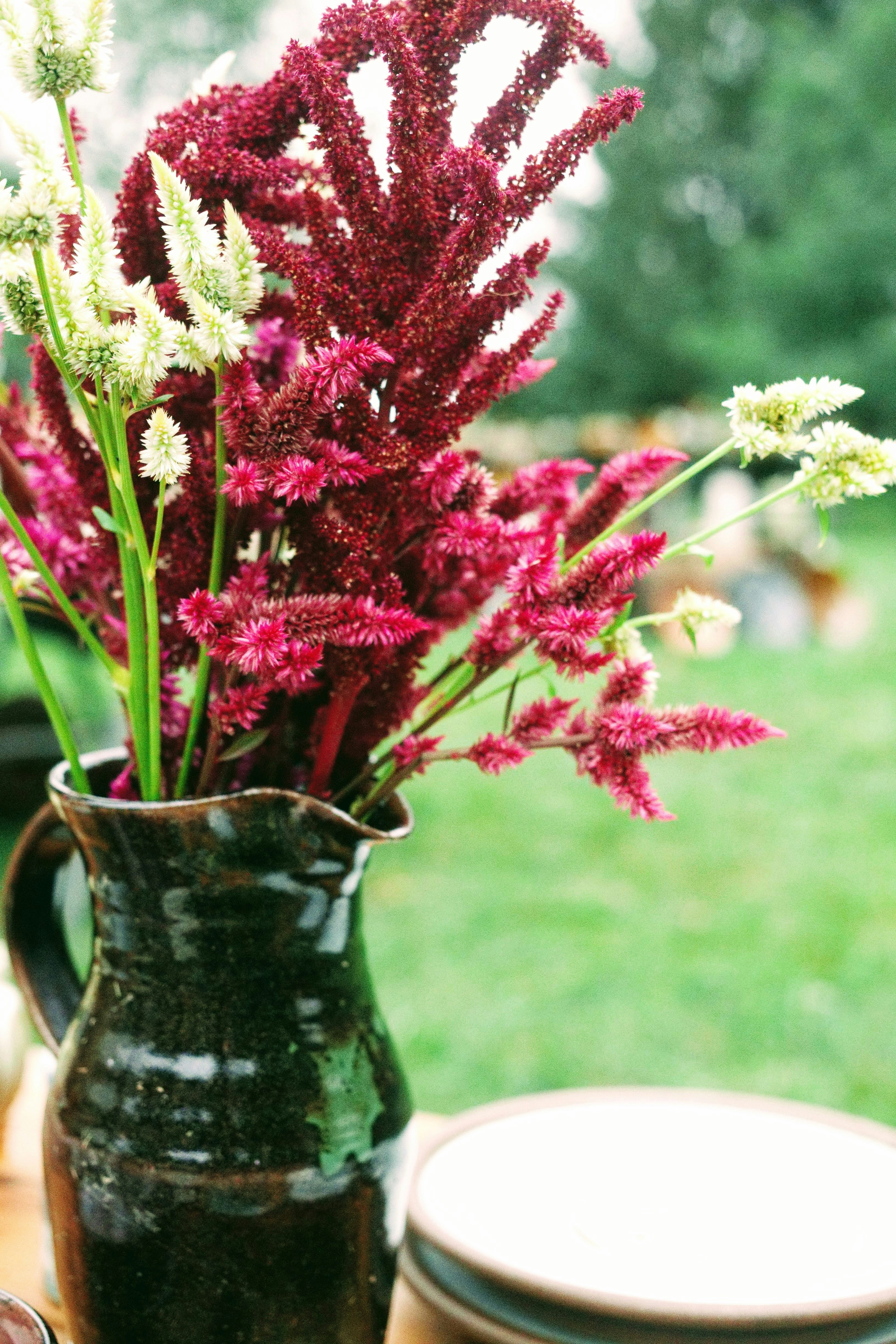 Crimson Plumes in a Ceramic Vase: a Primavera Bouquet