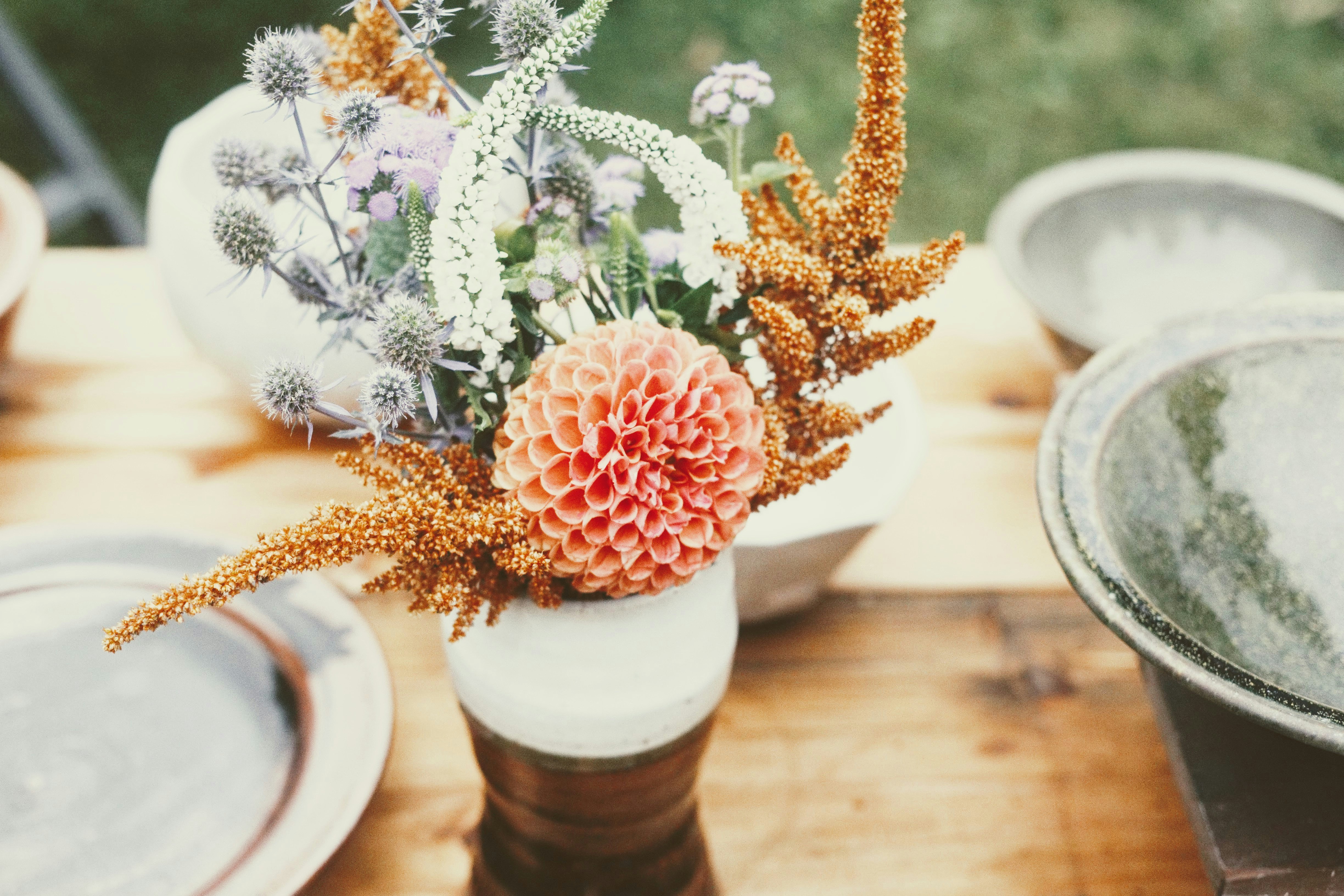 Photo by Meg Jenson with Canon EOS-1D Mark IV