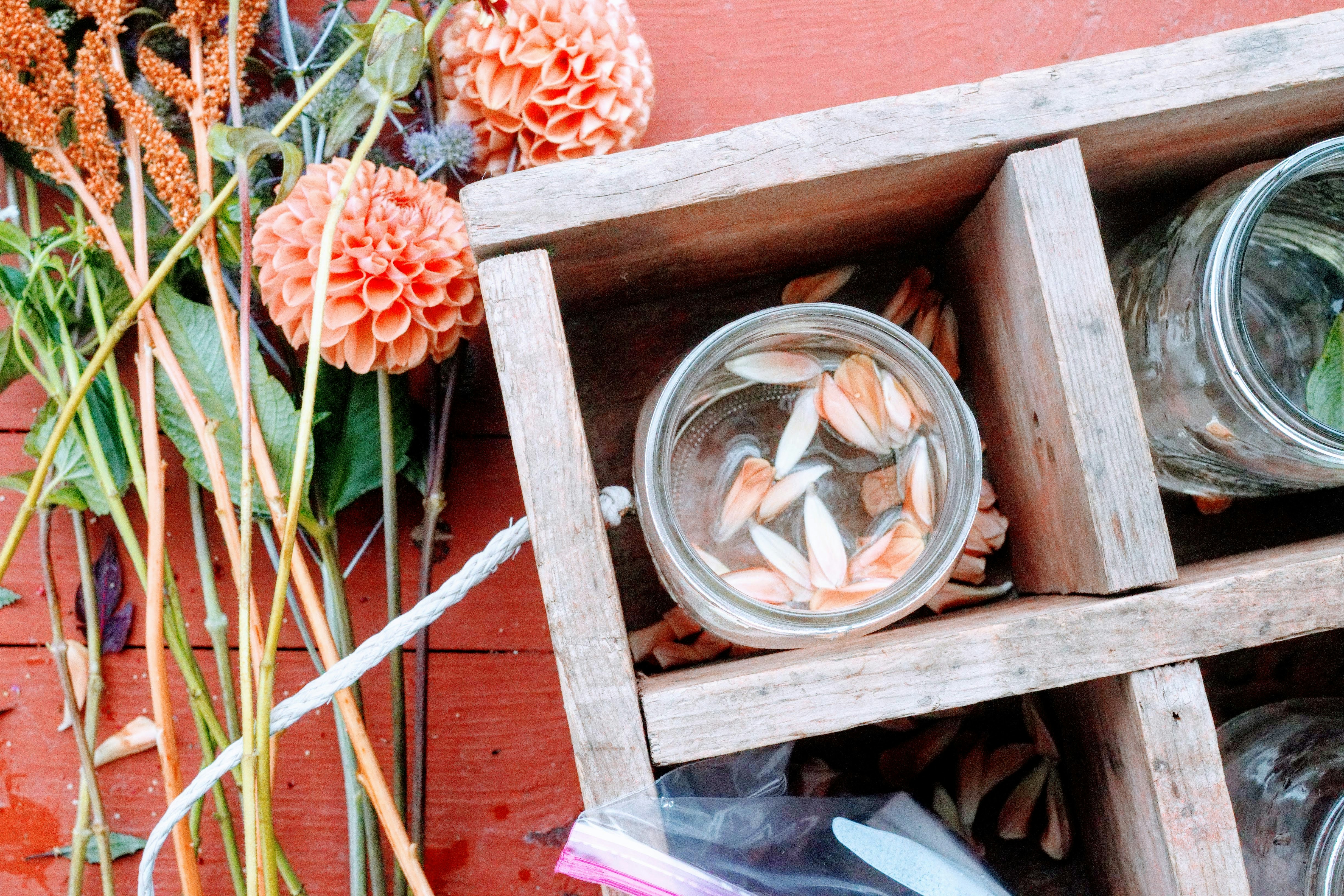 a bowl of flowers
