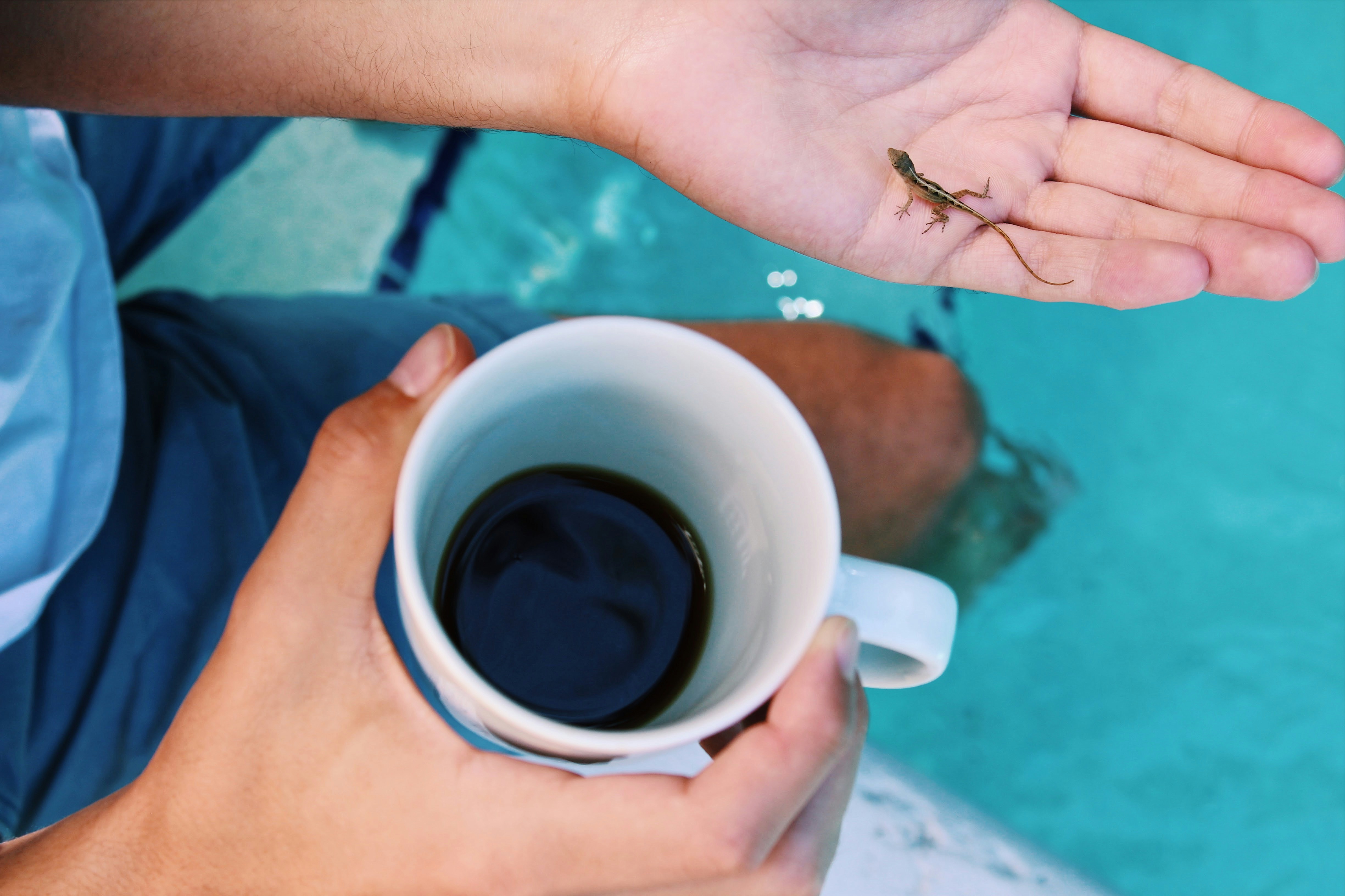 Photo by Meg Jenson with Canon EOS 650D