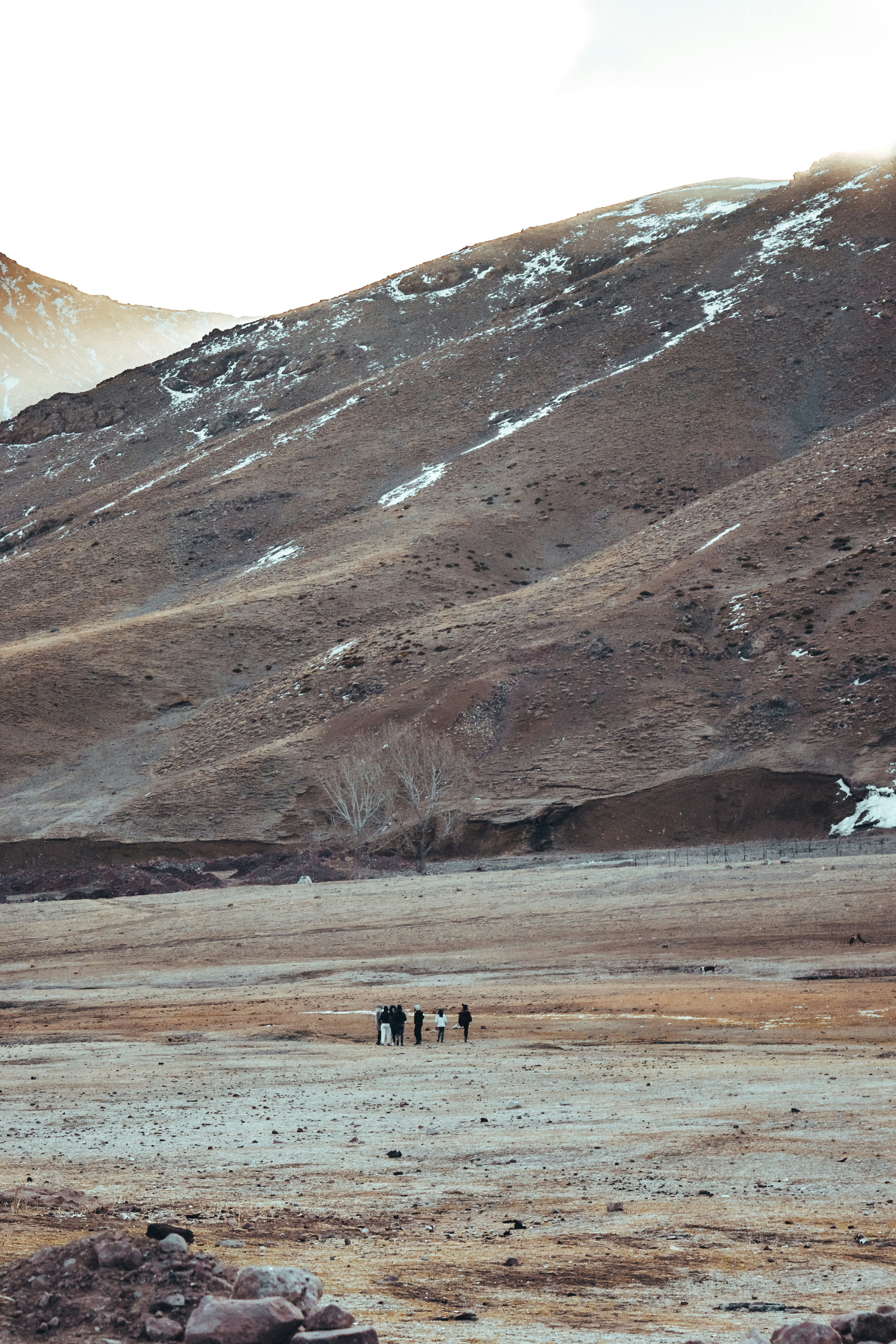 A Small Group at the Foot of a Rugged Slope