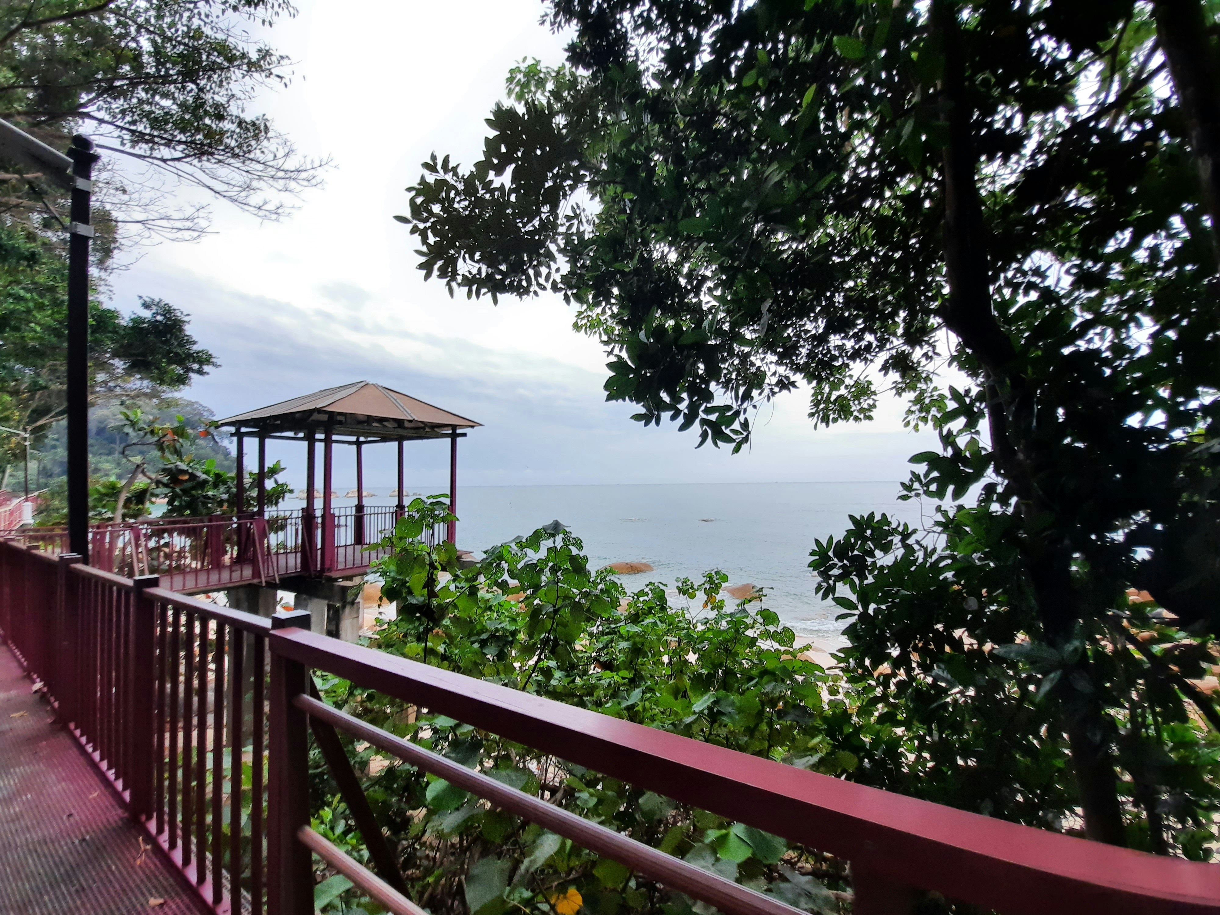 A tranquil coastal view framed by vibrant foliage, showcasing a gazebo overlooking the ocean. The scene evokes a sense of peace and connection with nature.