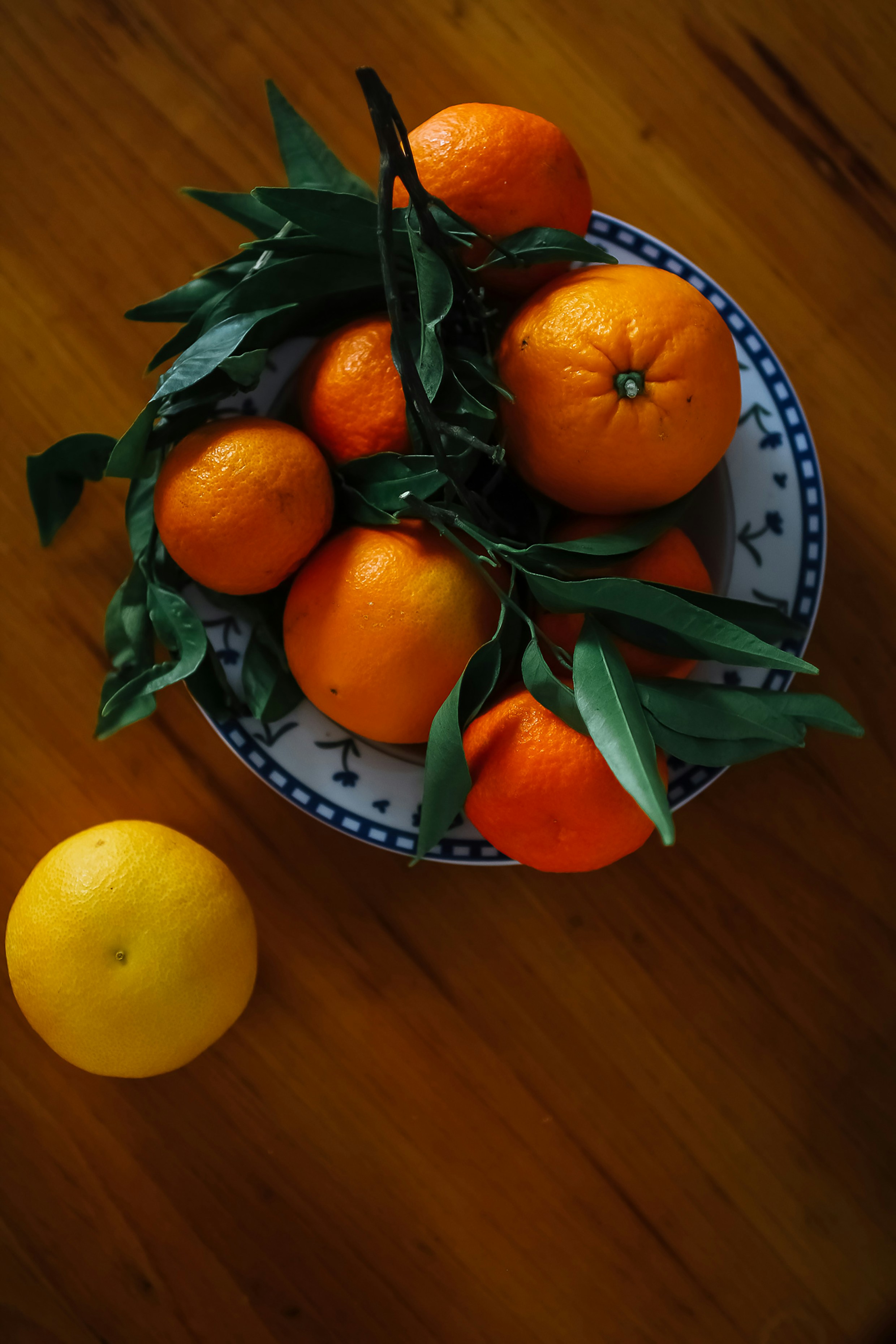 A vibrant assortment of oranges and tangerines nestled in a decorative bowl, accompanied by fresh green leaves. A single lemon rests nearby.