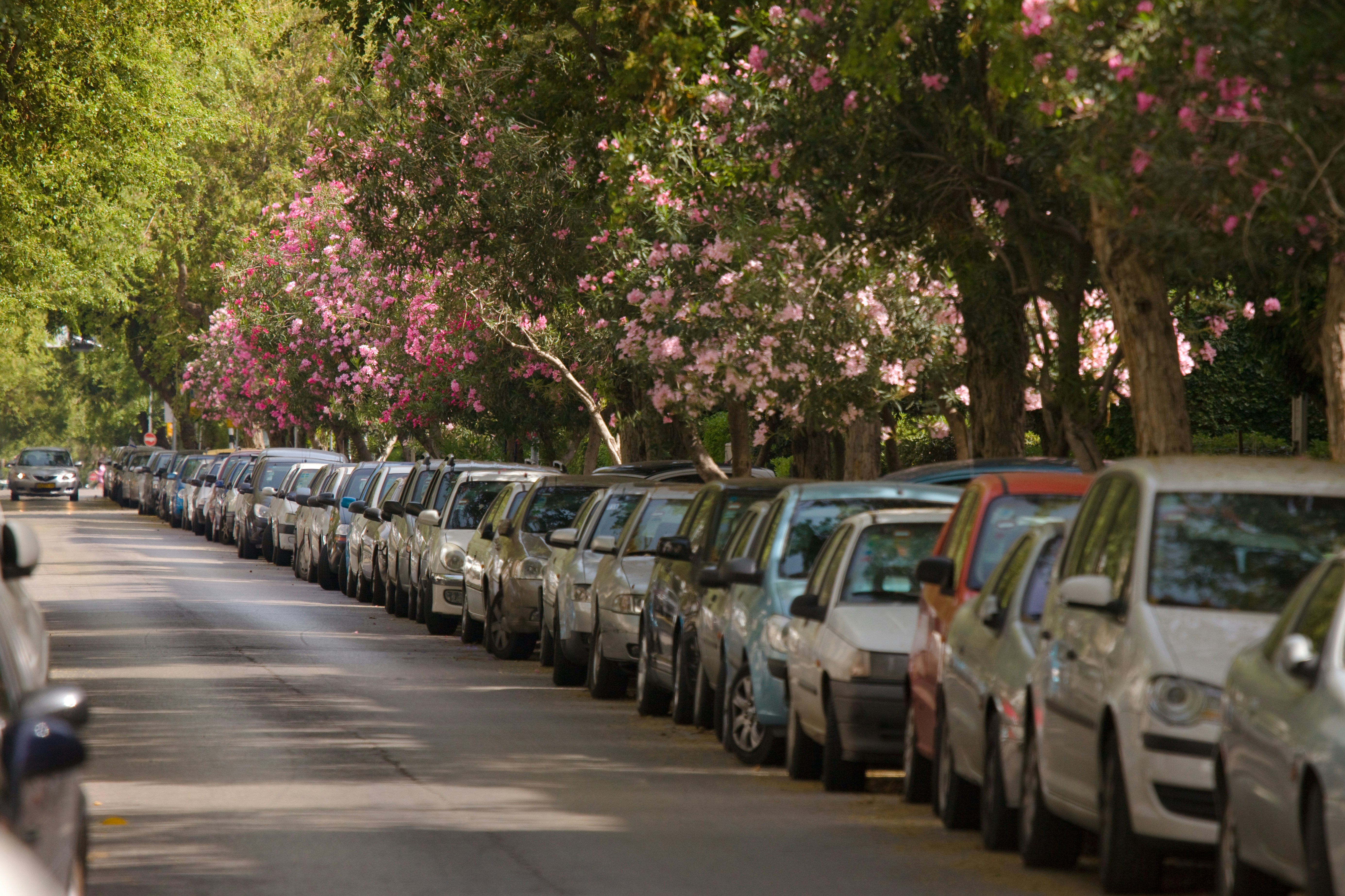 Foto Una fila de autos estacionados al costado de una carretera ...