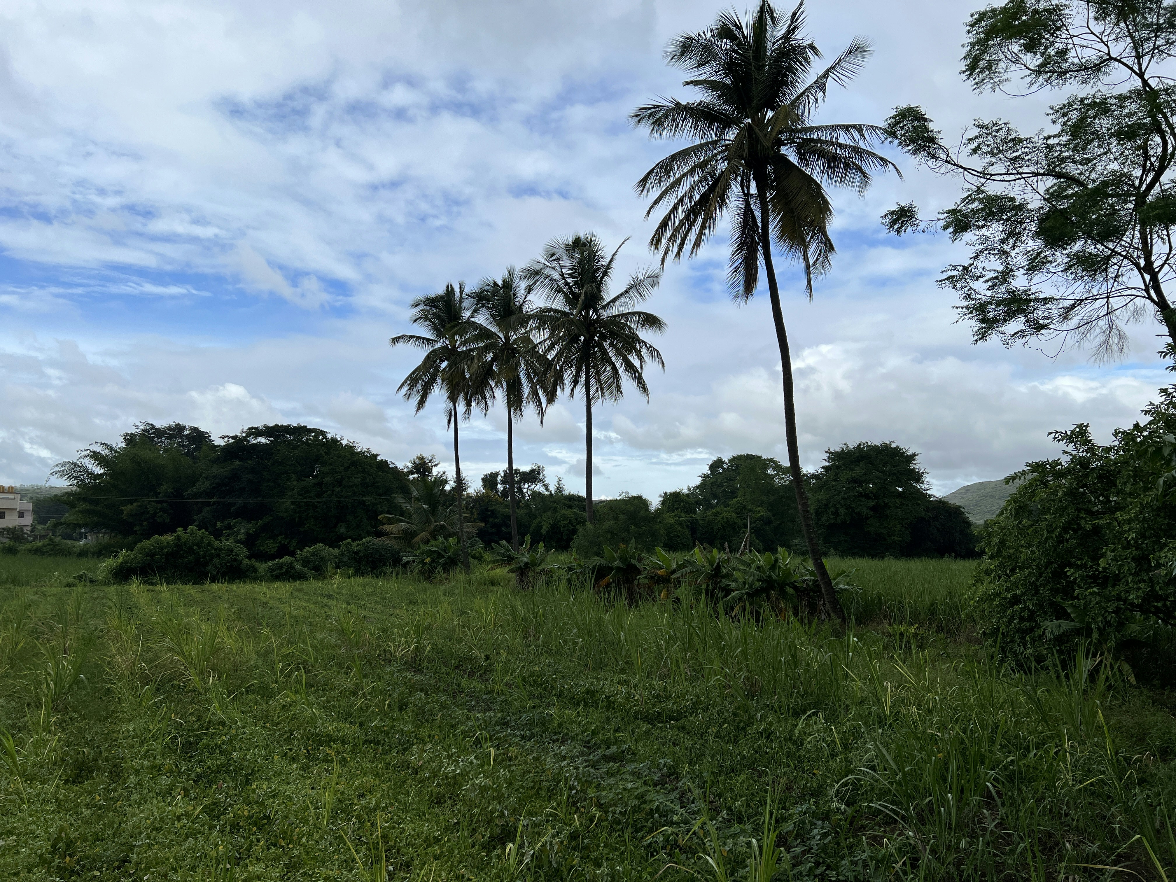 Chikkodi Photos | Télécharger des images gratuites sur Unsplash