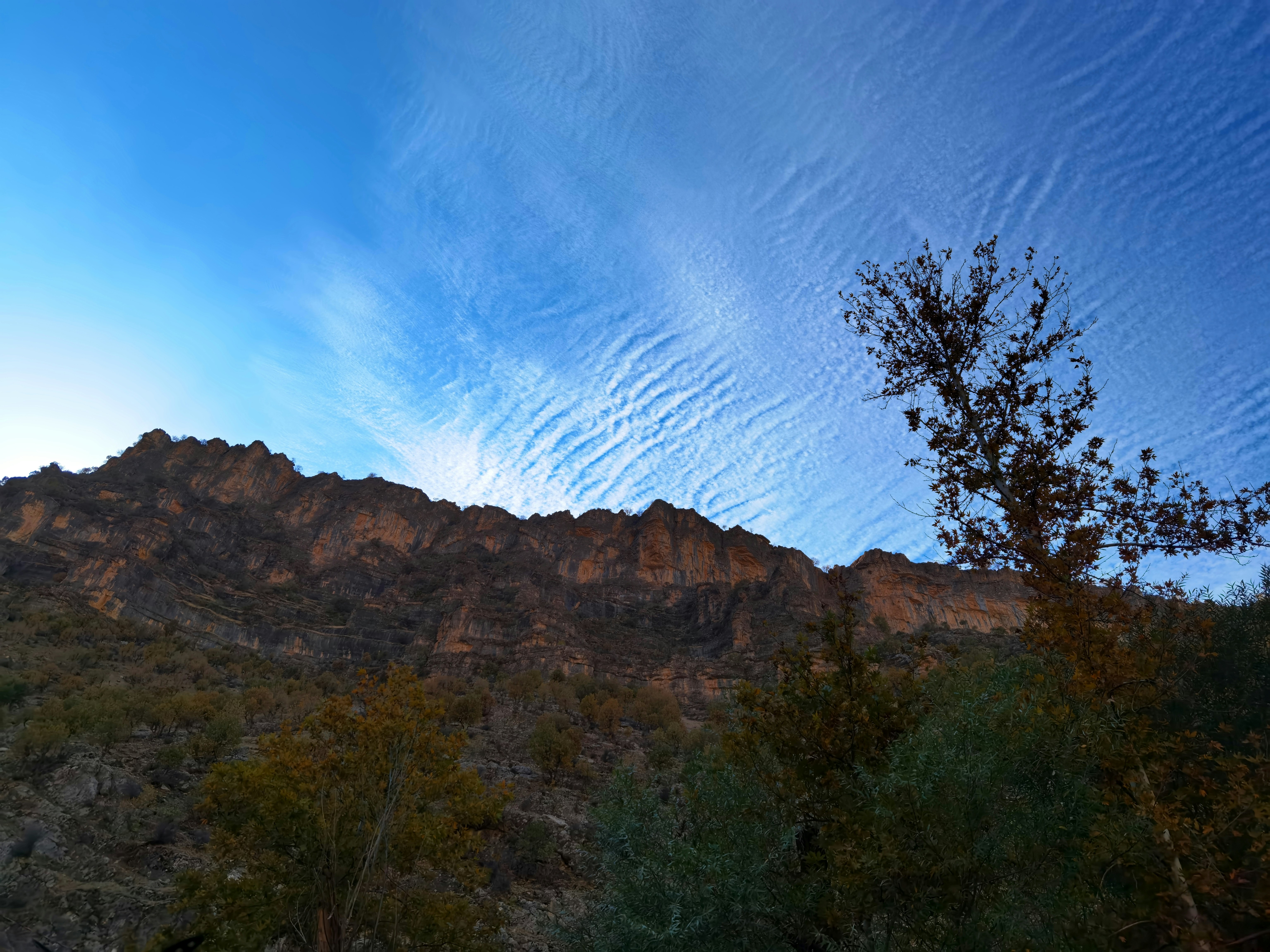 Autumn landscape featuring a rocky ridge above a cluster of trees, with a bright blue sky etched by textured, wave-like clouds.