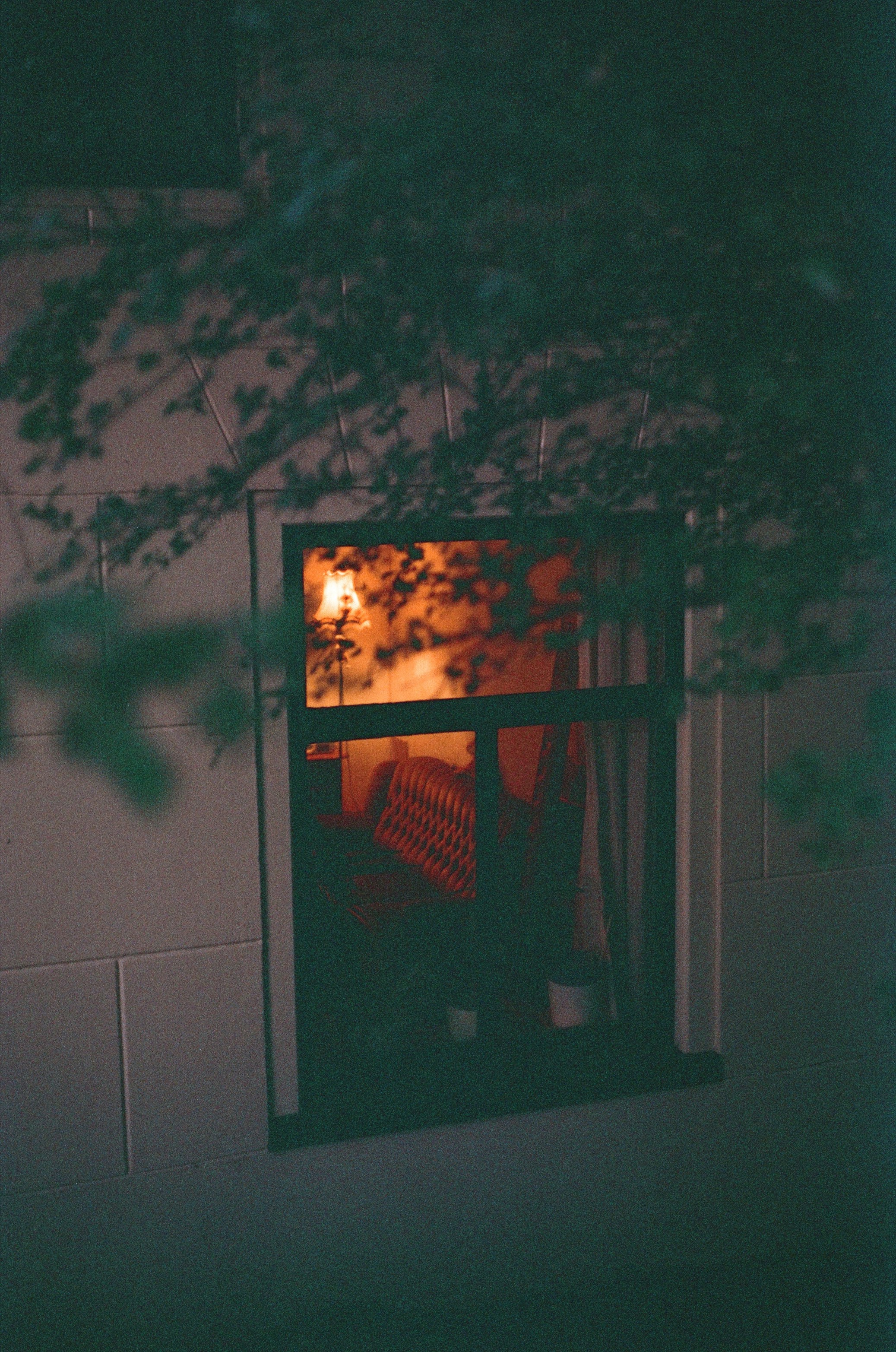 Dimly lit window with a soft orange glow illuminating the interior, partially obscured by leafy branches.