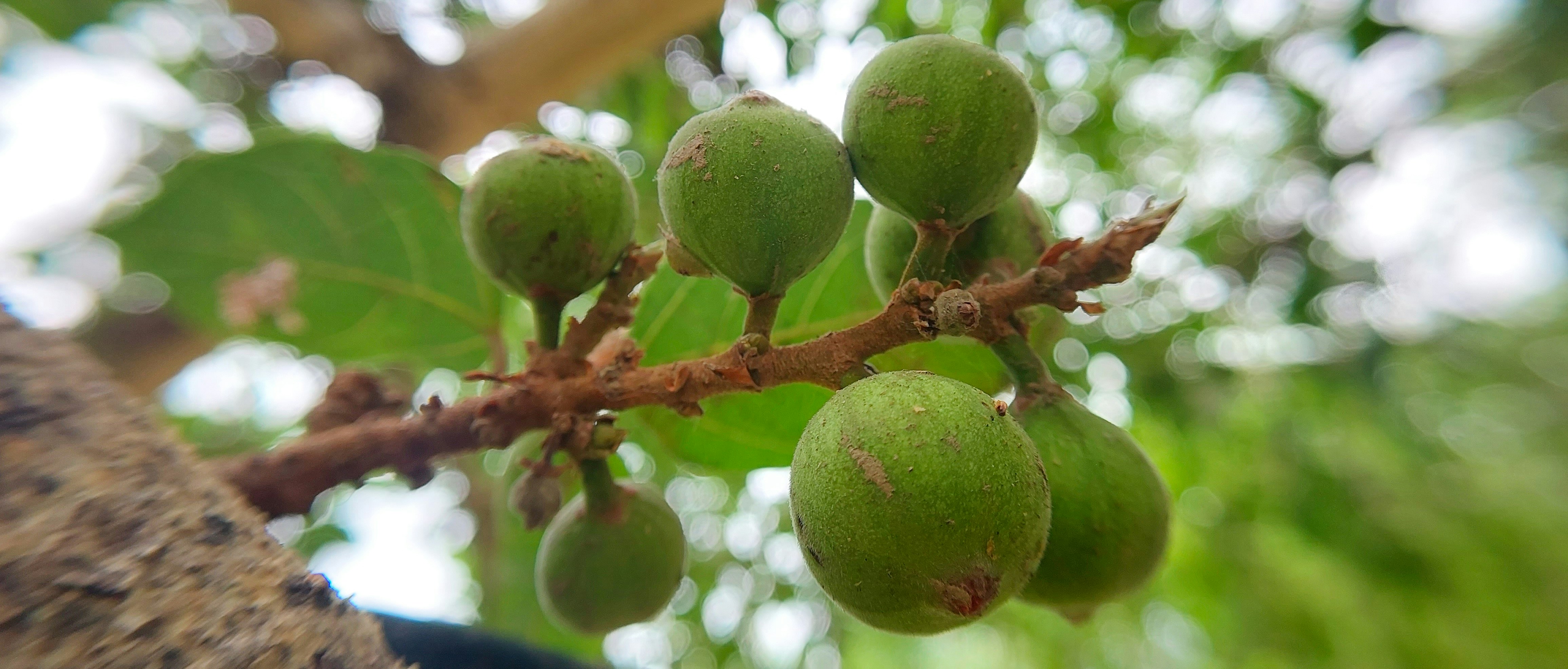 Gullar Photos | Télécharger des images gratuites sur Unsplash