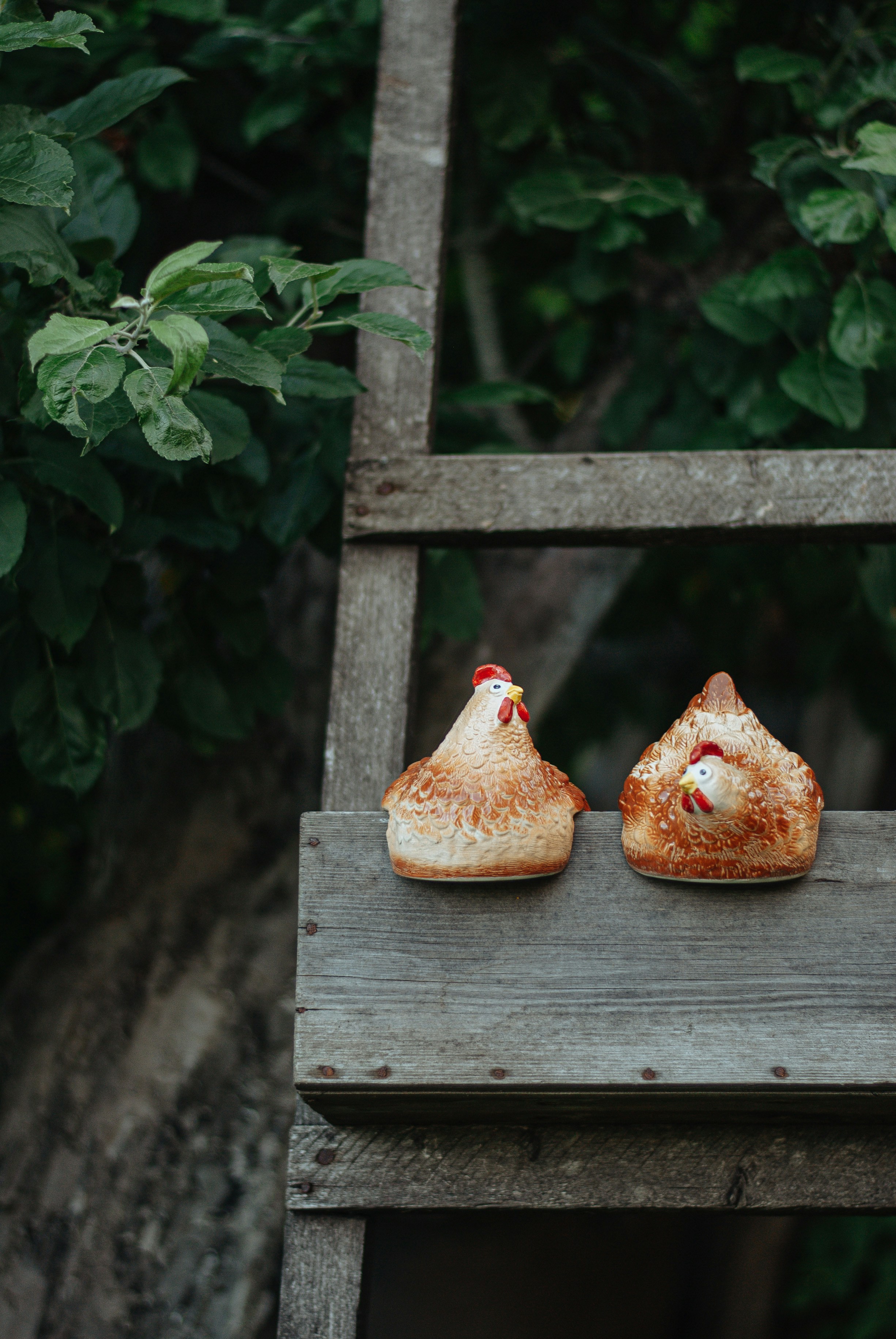 Ceramic chickens