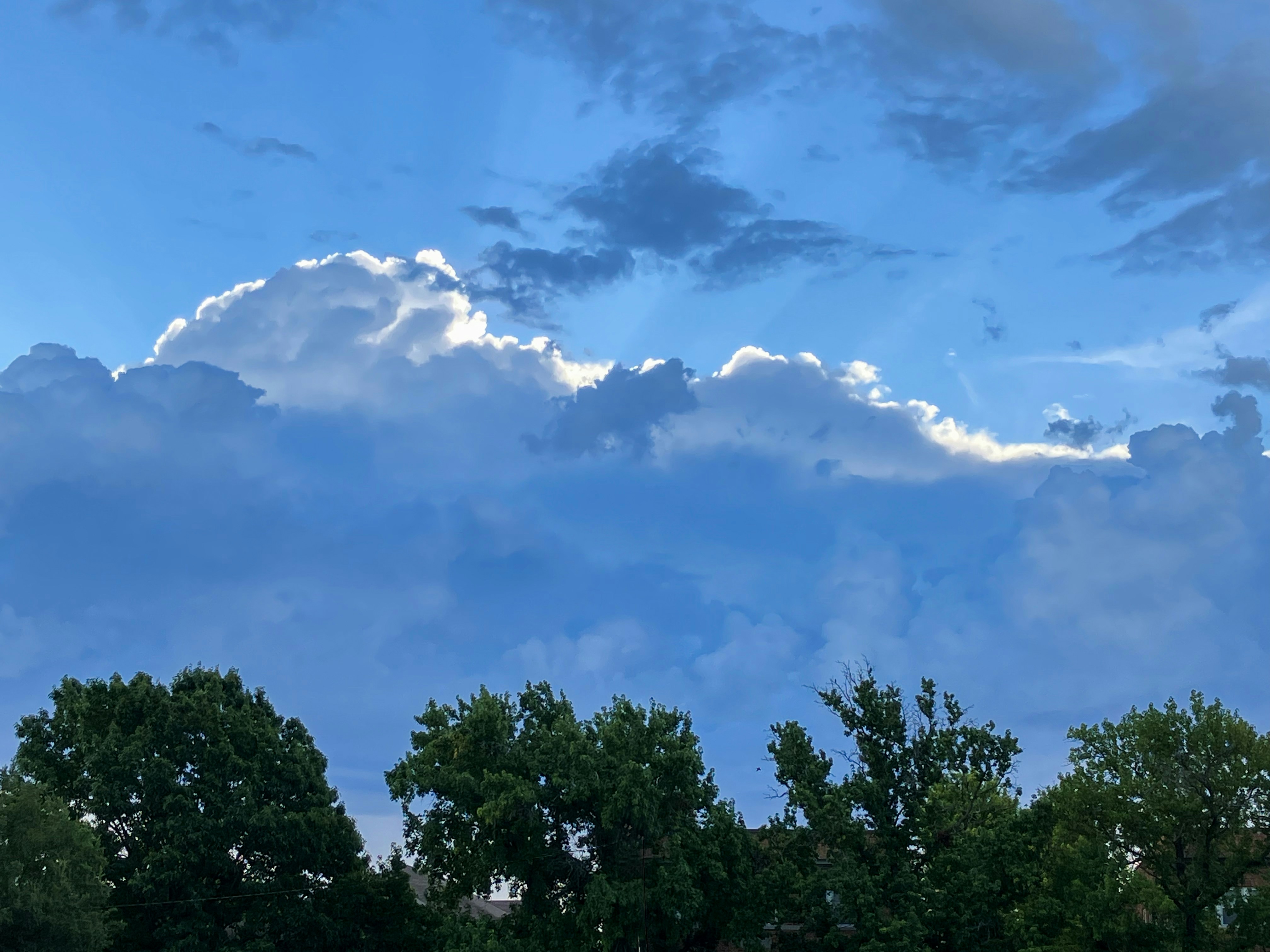 Christopher Riggs (@xopheriggs) | Communauté photos Unsplash