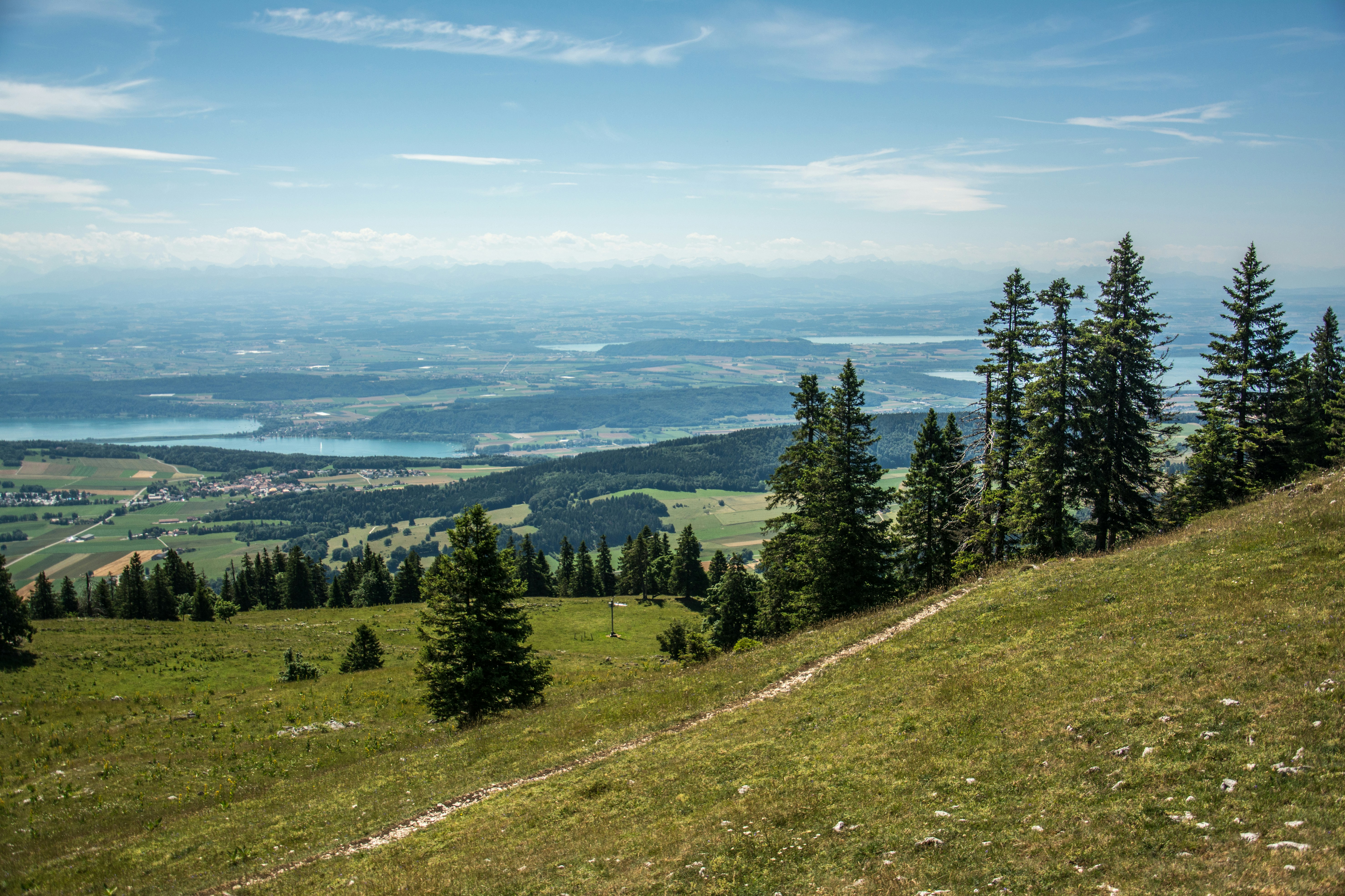 Foto Un paisaje con árboles y un valle al fondo – Imagen Asiente gratis ...