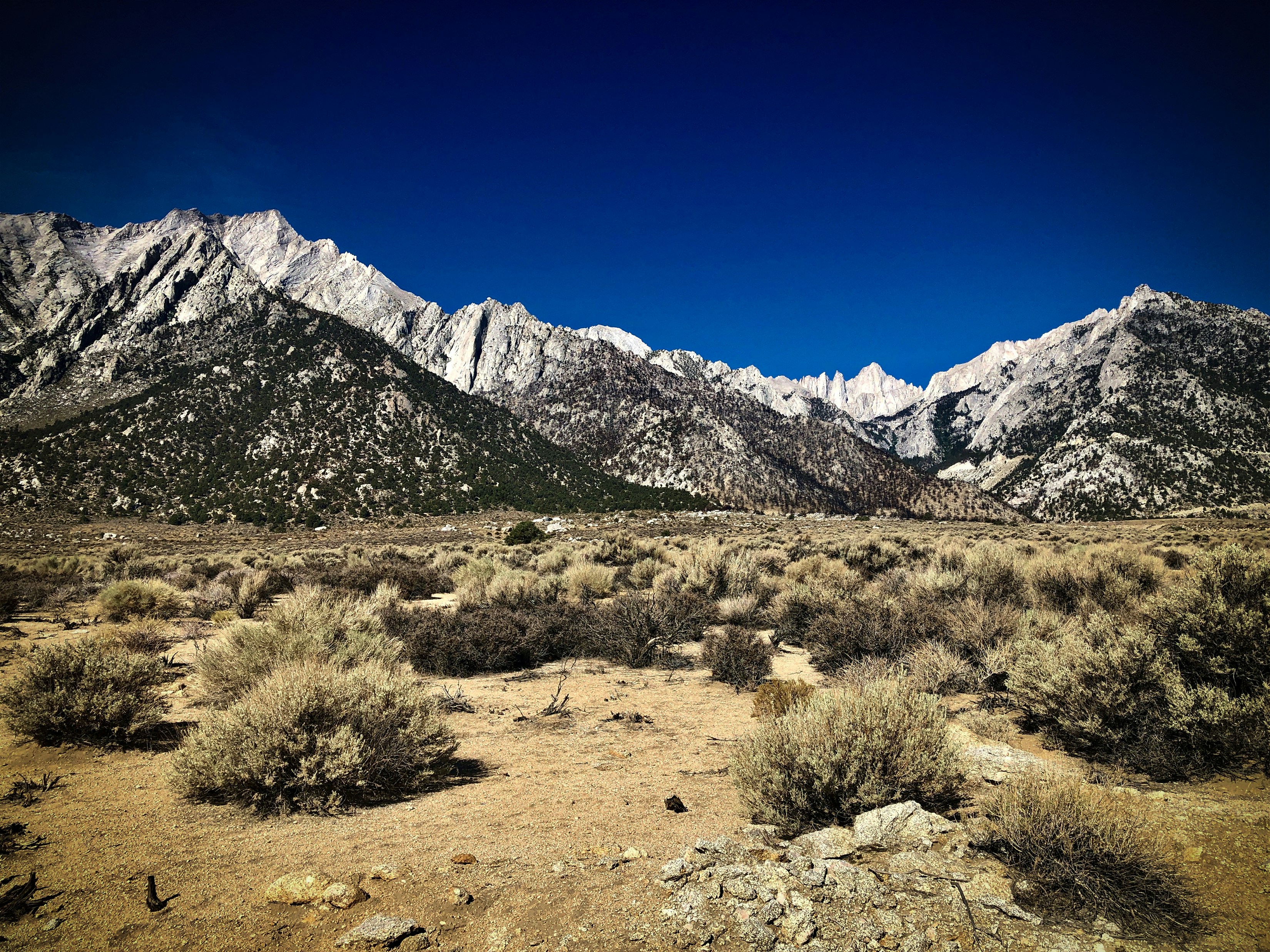 Snow-Tipped Ridge Framing a Desert Vision Under Indigo Sky