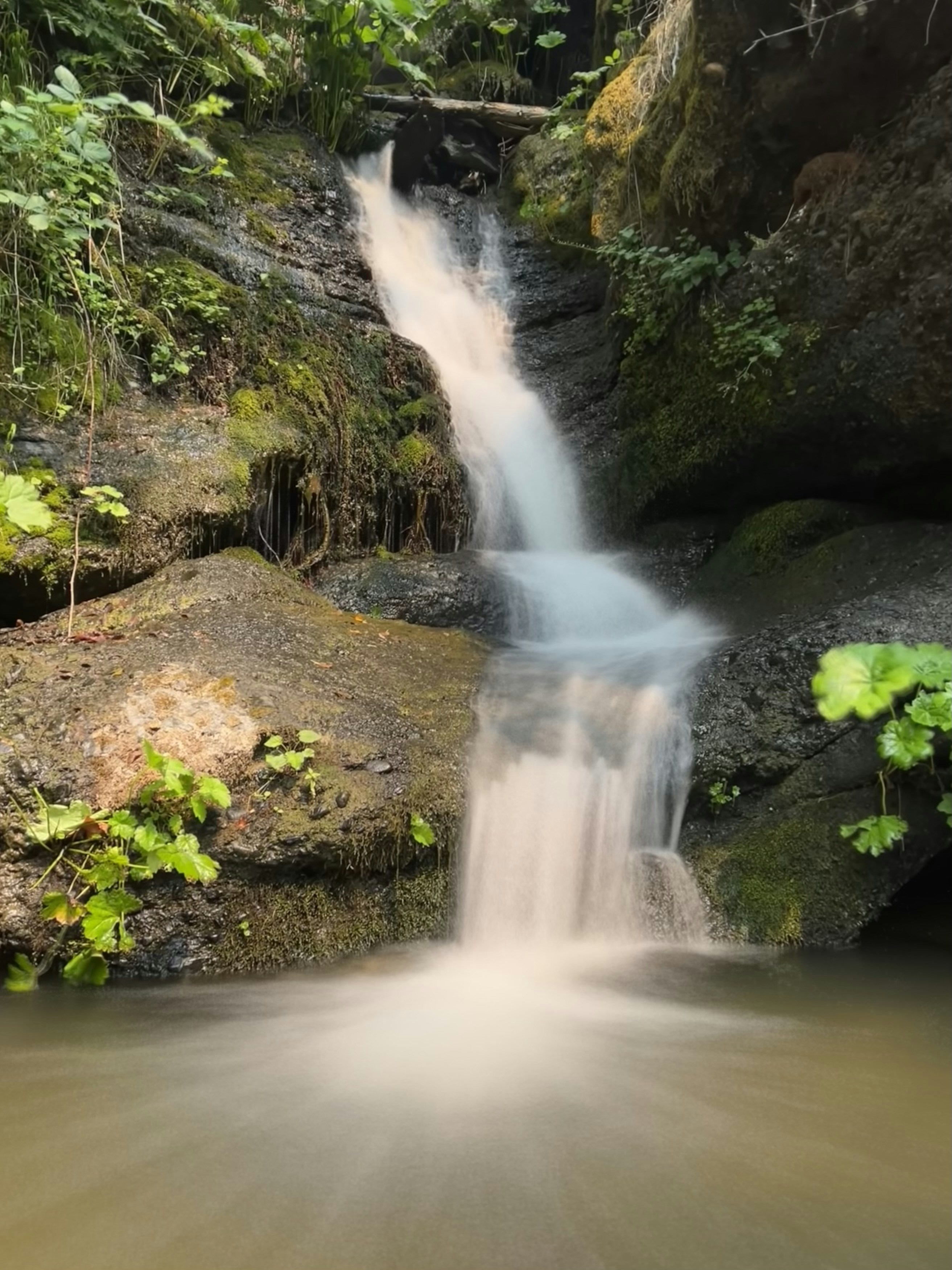A waterfall in a forest photo – Free Agness Image on Unsplash