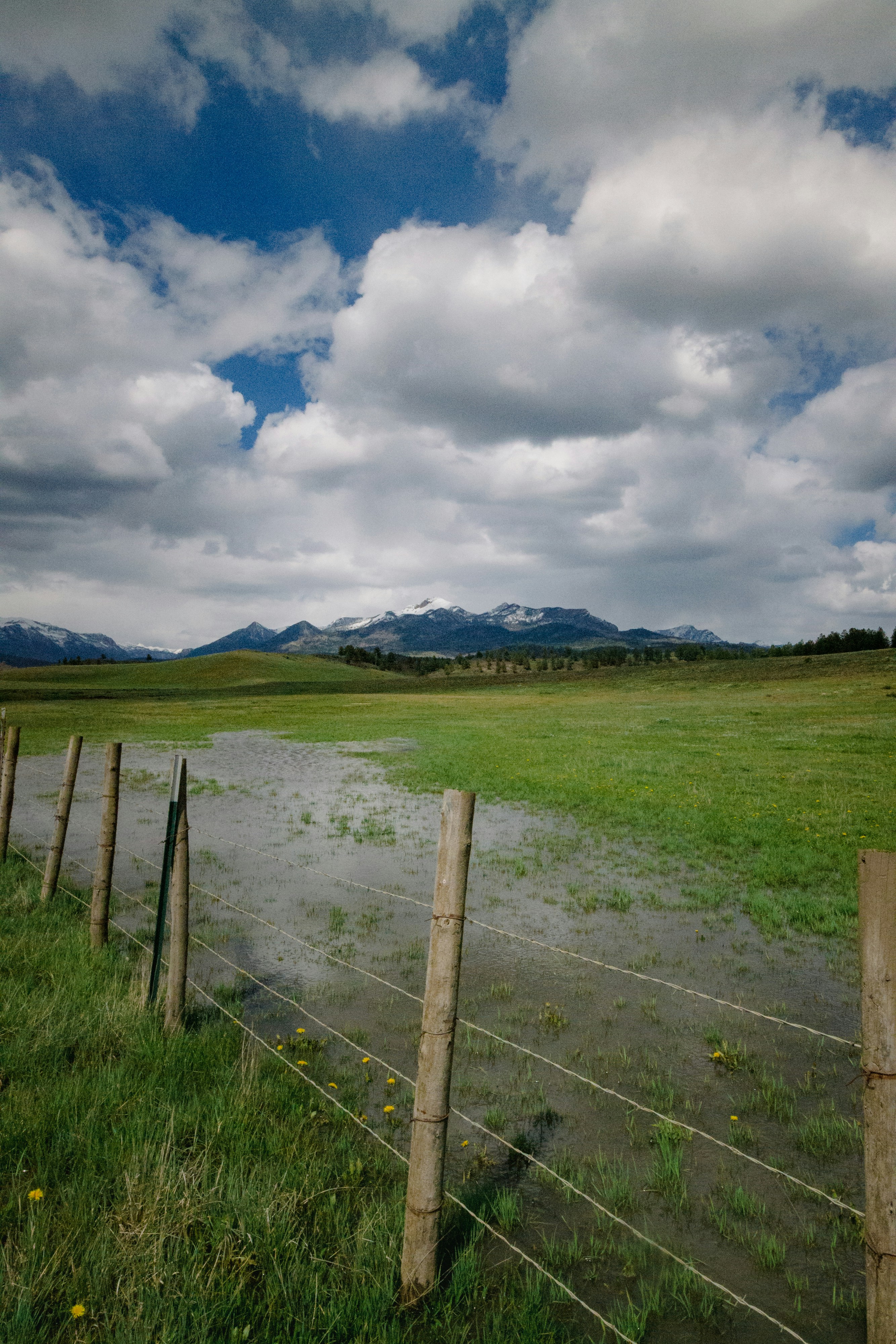 Green Grass Meadow near Snowy Peaks 