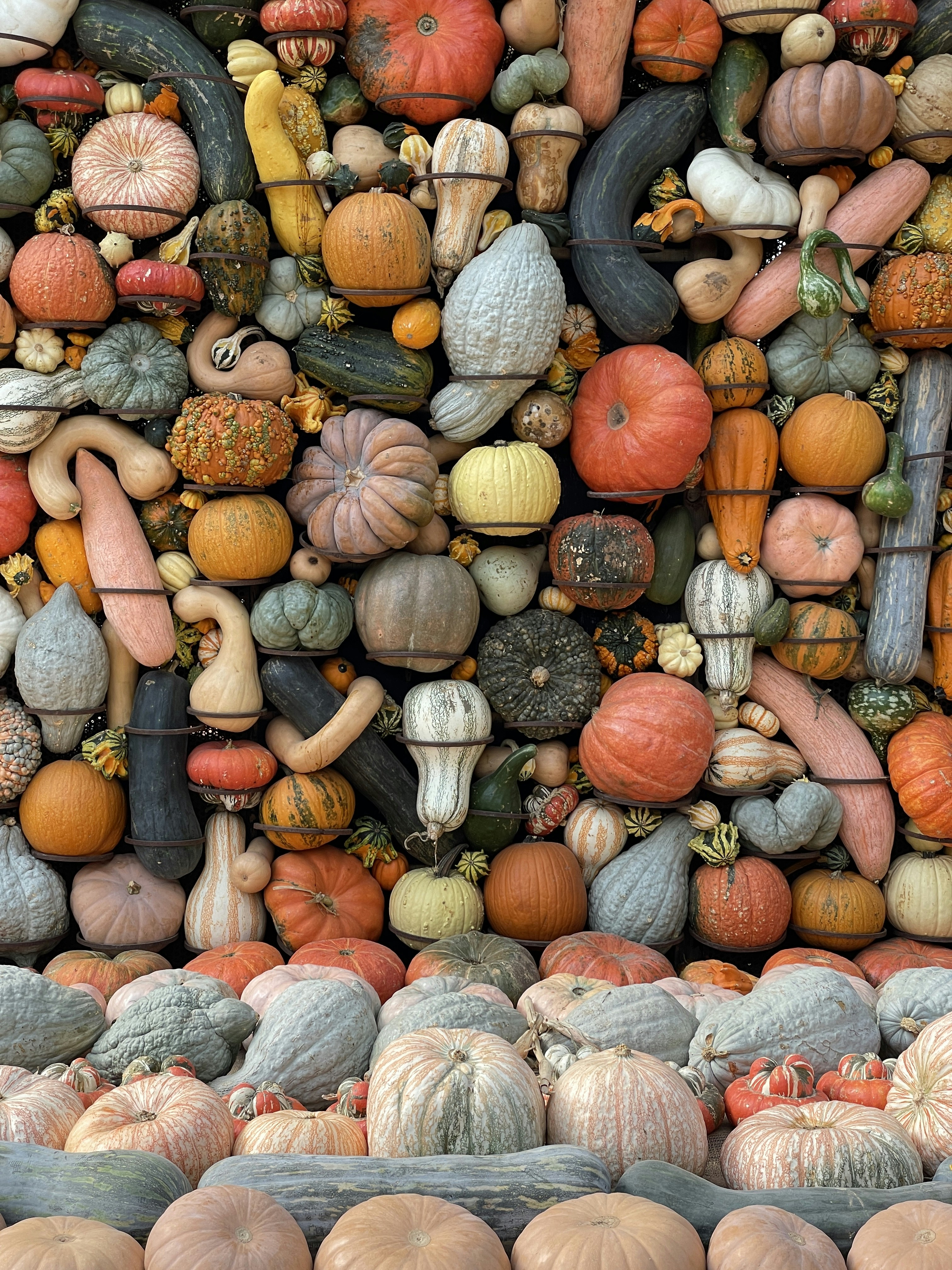 Pumpkins