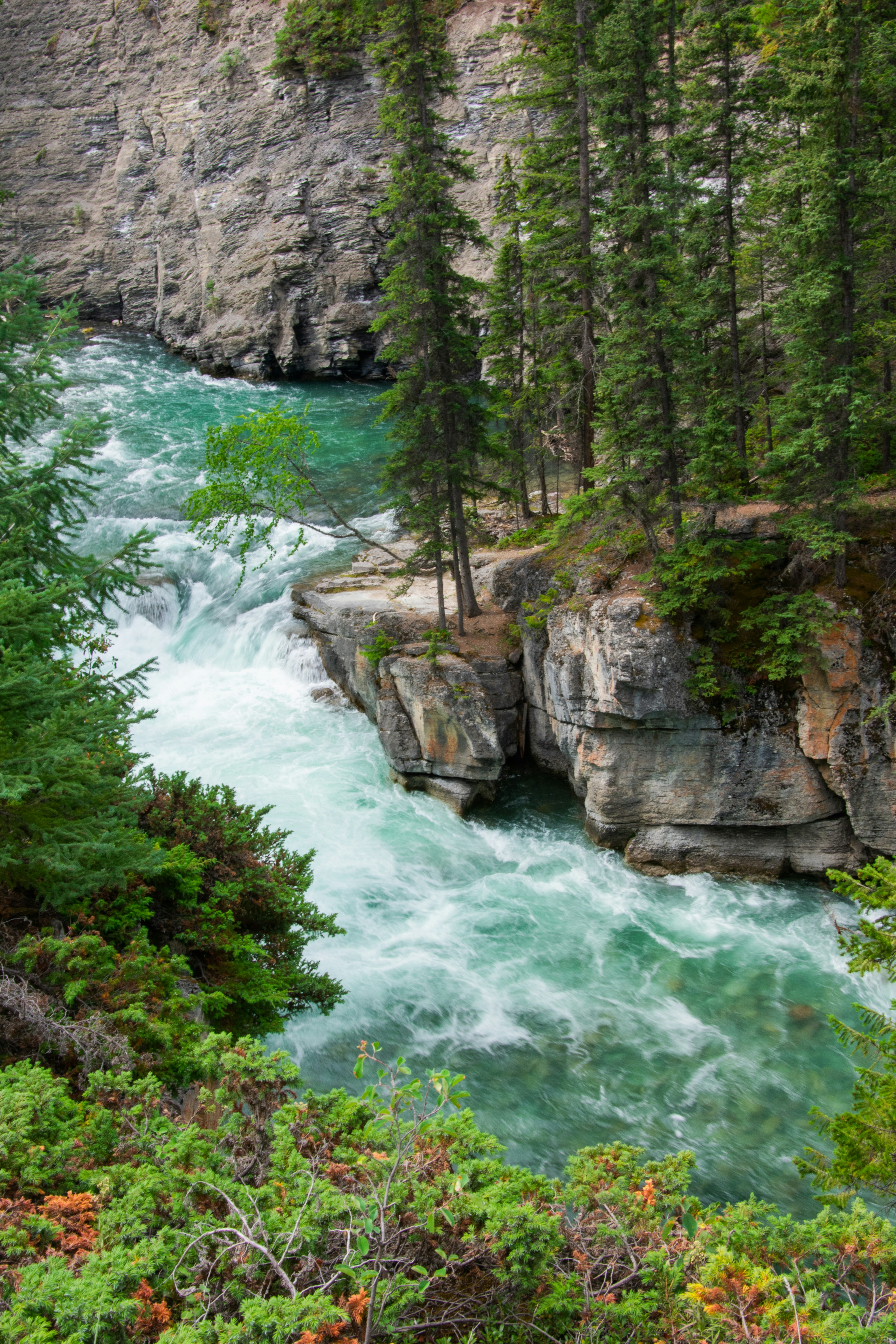 A river flowing through a forest photo – Free Maligne canyon Image on ...