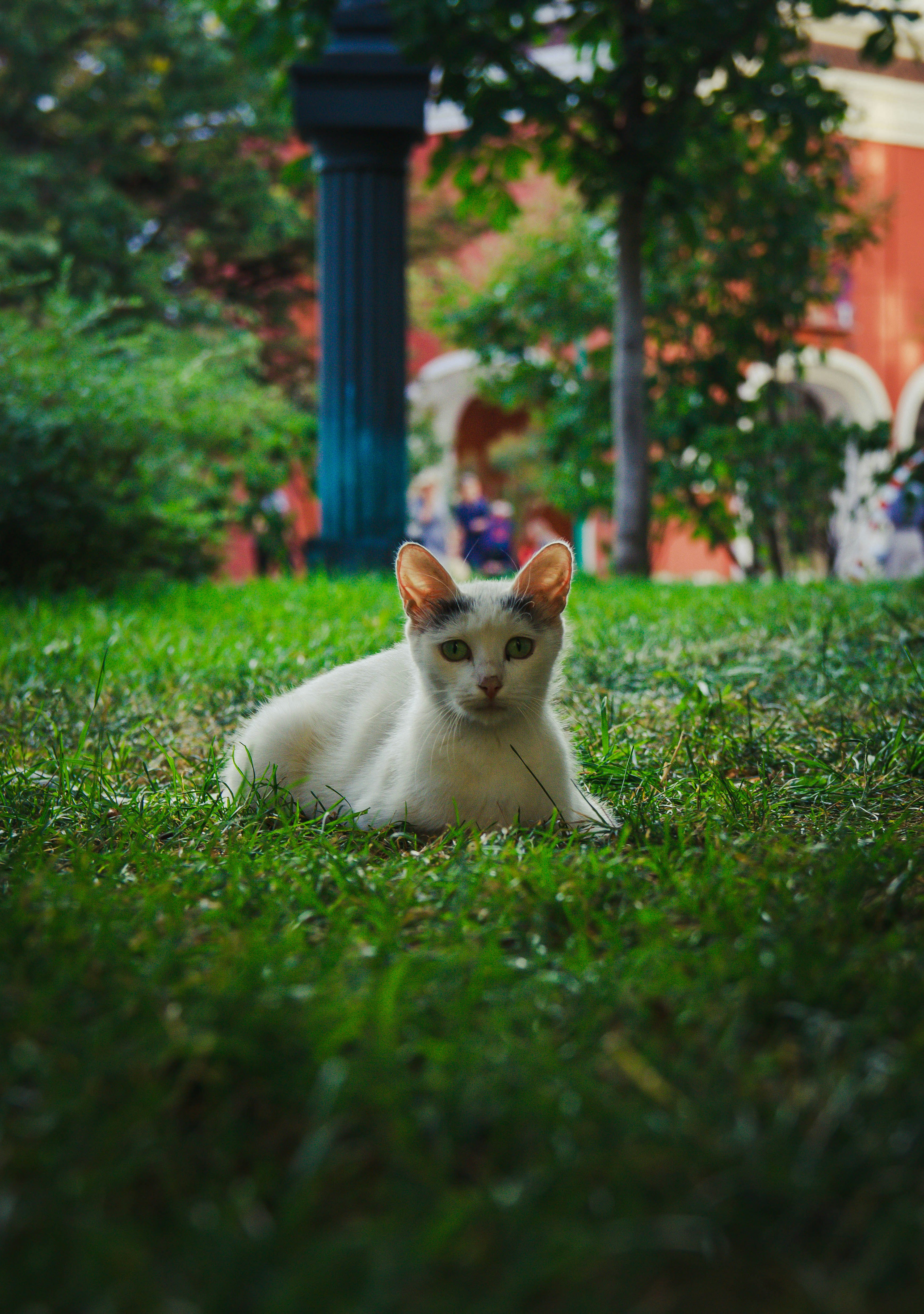 Photo by Nikita Samokhin with Canon EOS 70D