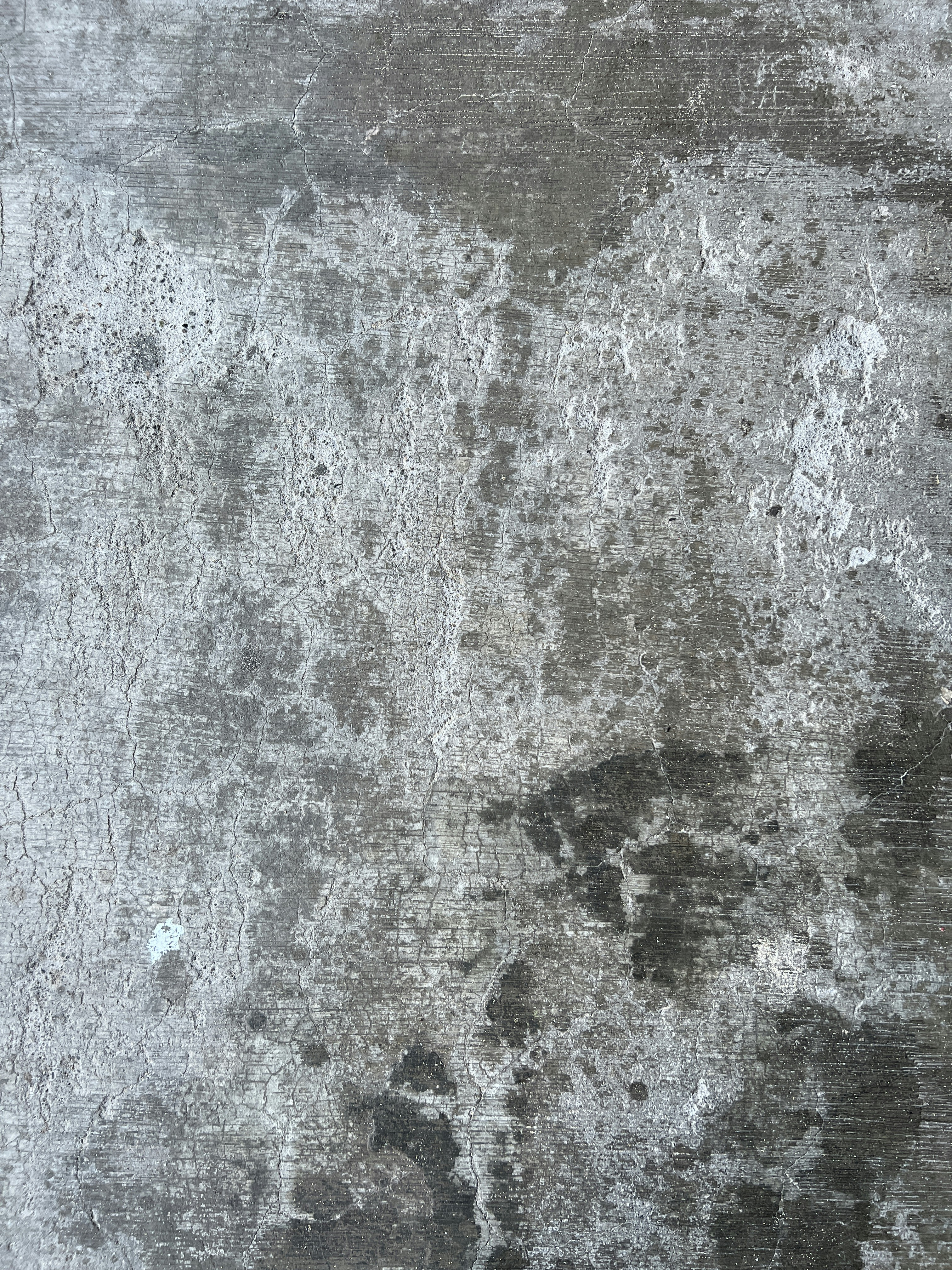 Textured concrete surface showcasing intricate patterns and weathered details.