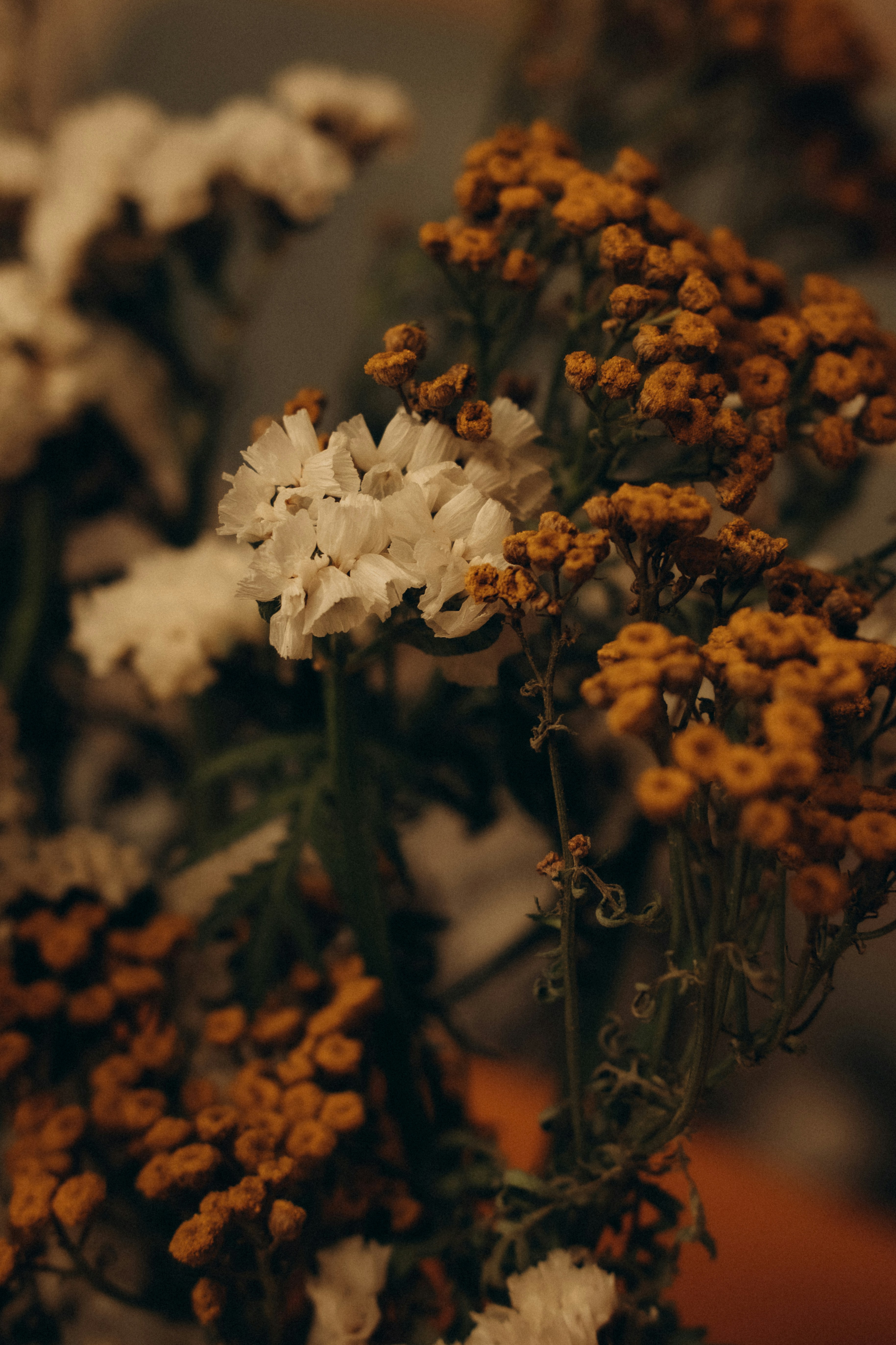 a close up of some flowers