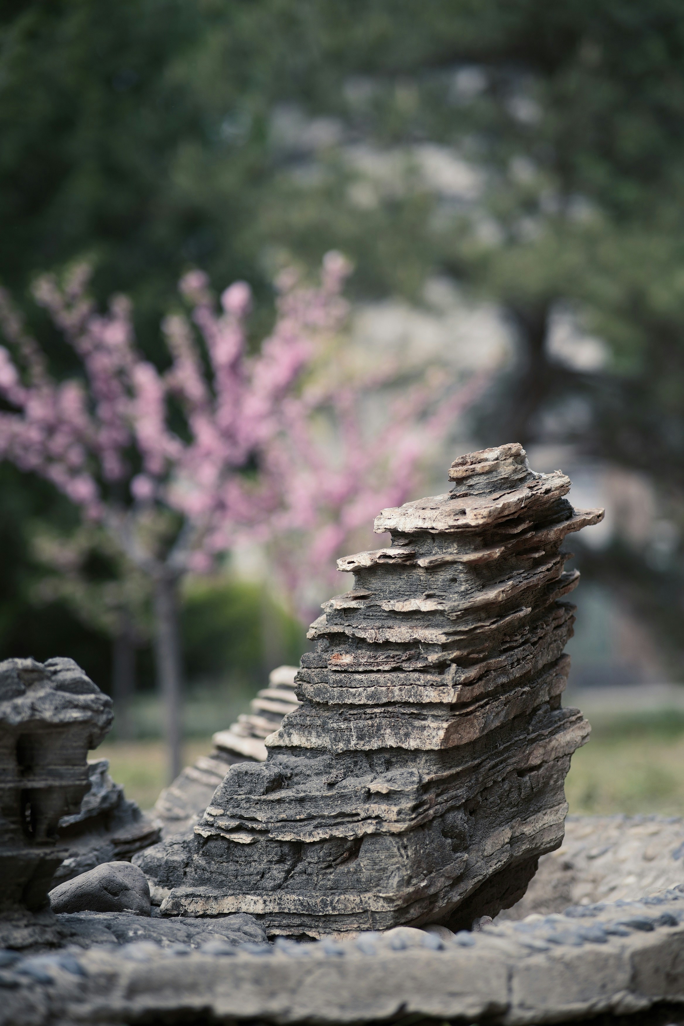 Stone Cairn Rising Against a Soft Sakura Blur