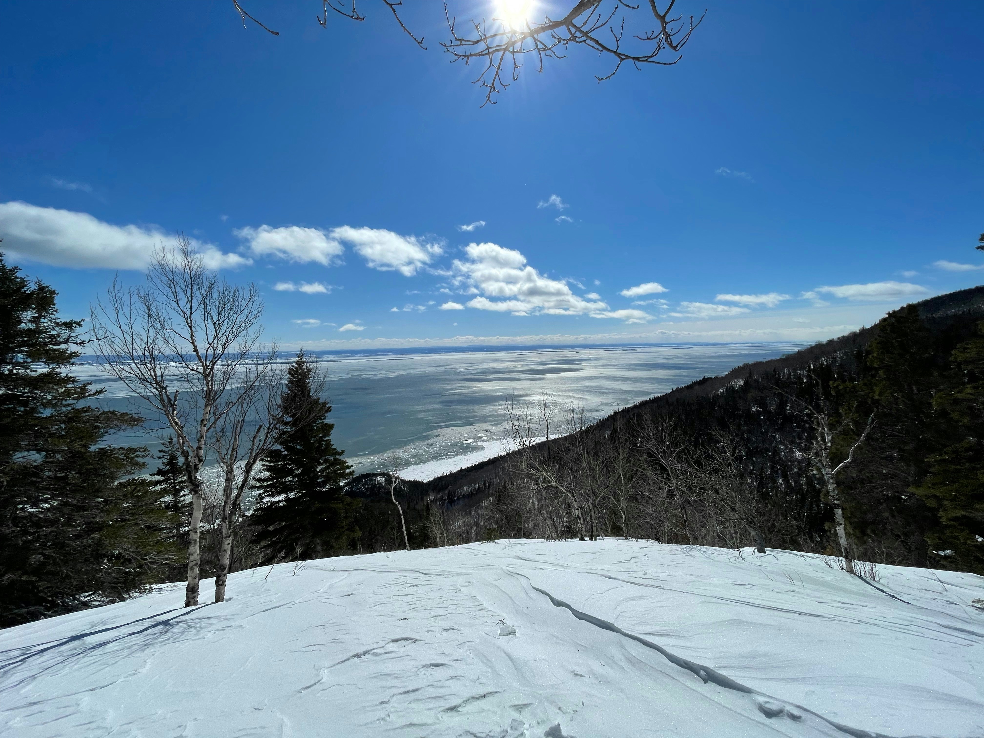 Les nouvelles de la semaine - French With Frederic