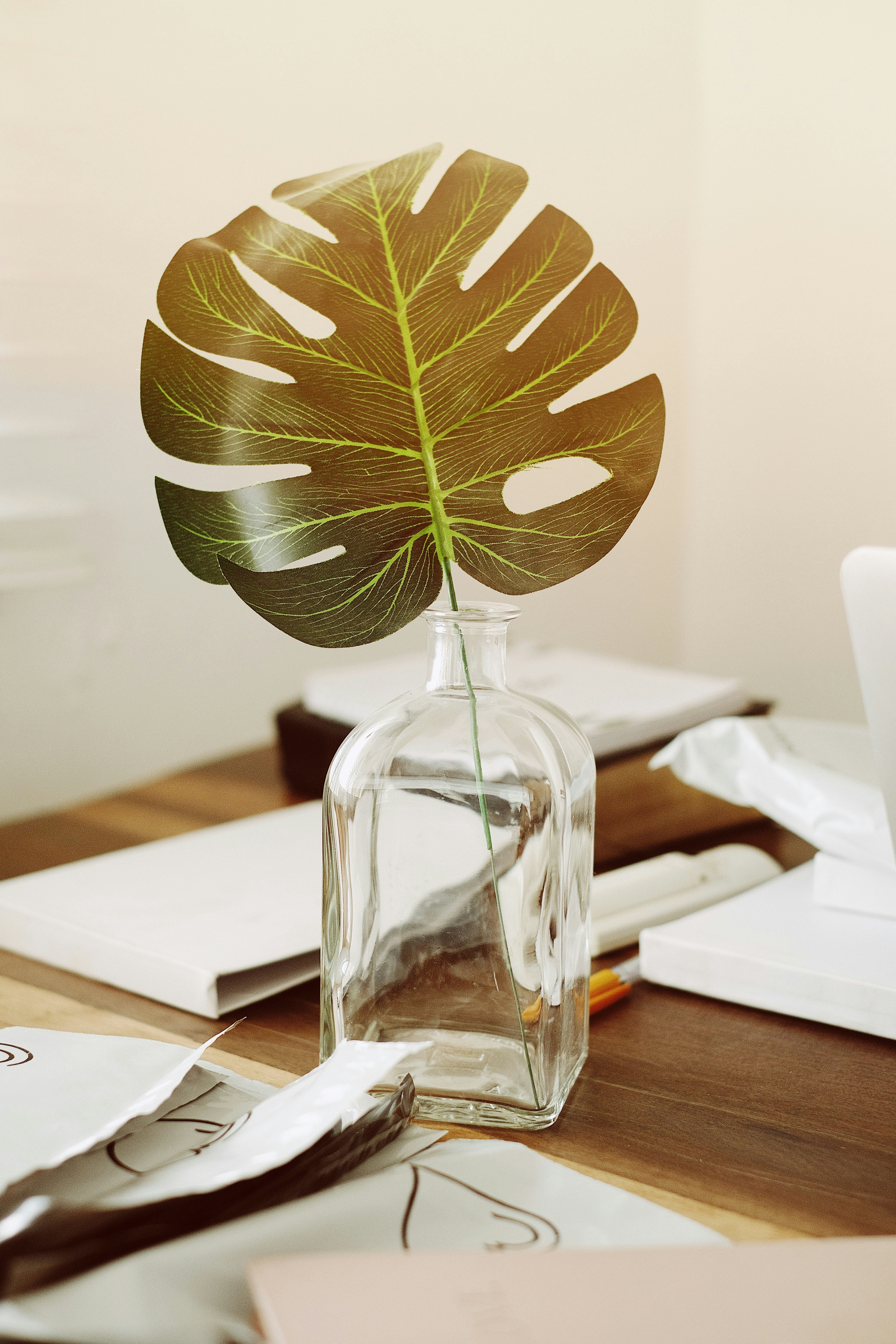 Monstera in a Glass Vessel: A Minimalist Desk Still-Life