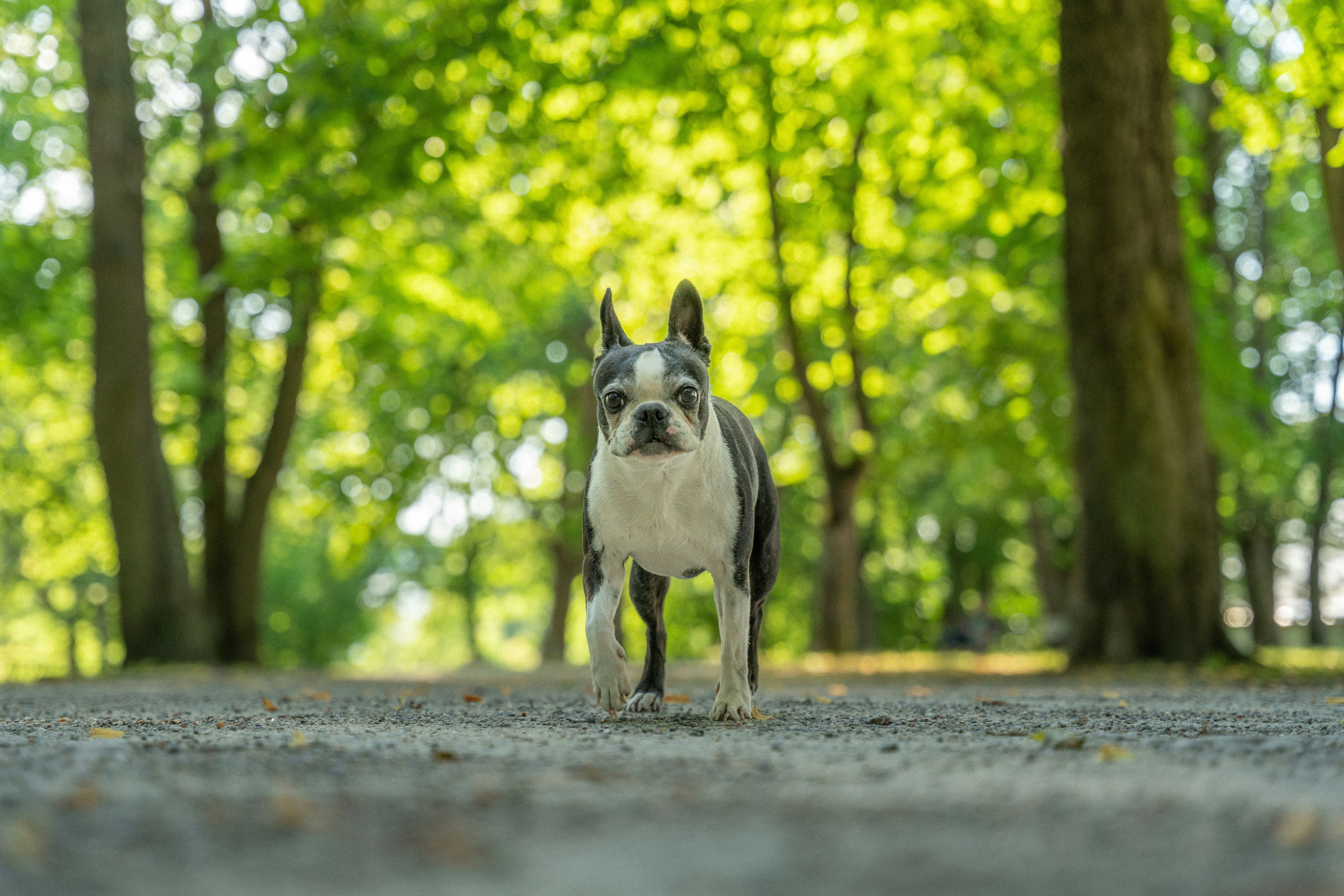 Photo by Oskar Kadaksoo with Sony Alpha 7R III