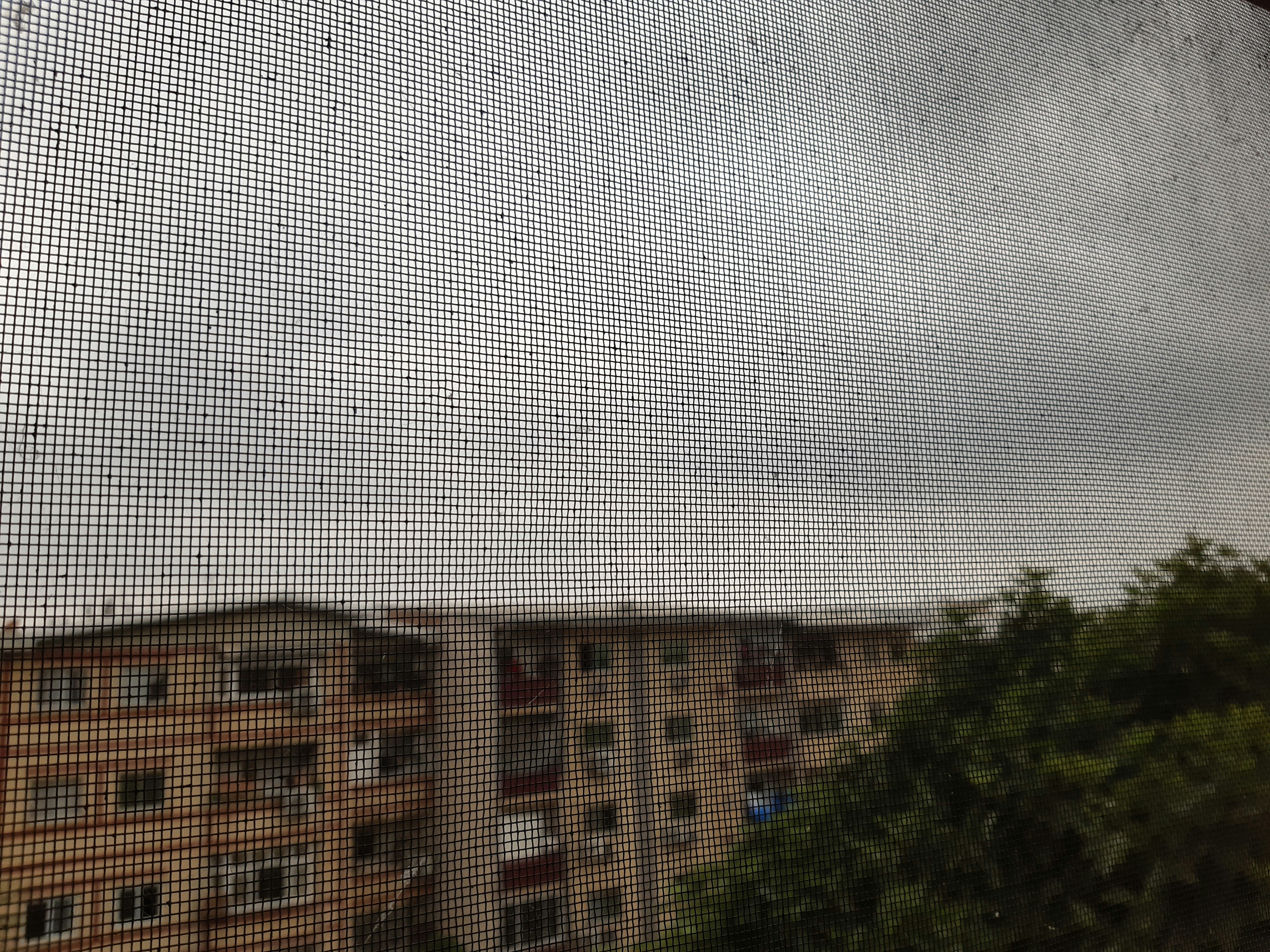 Overcast cityscape viewed through a mesh screen, showcasing apartment buildings and greenery. The scene captures a moment of urban life filtered through a protective barrier.