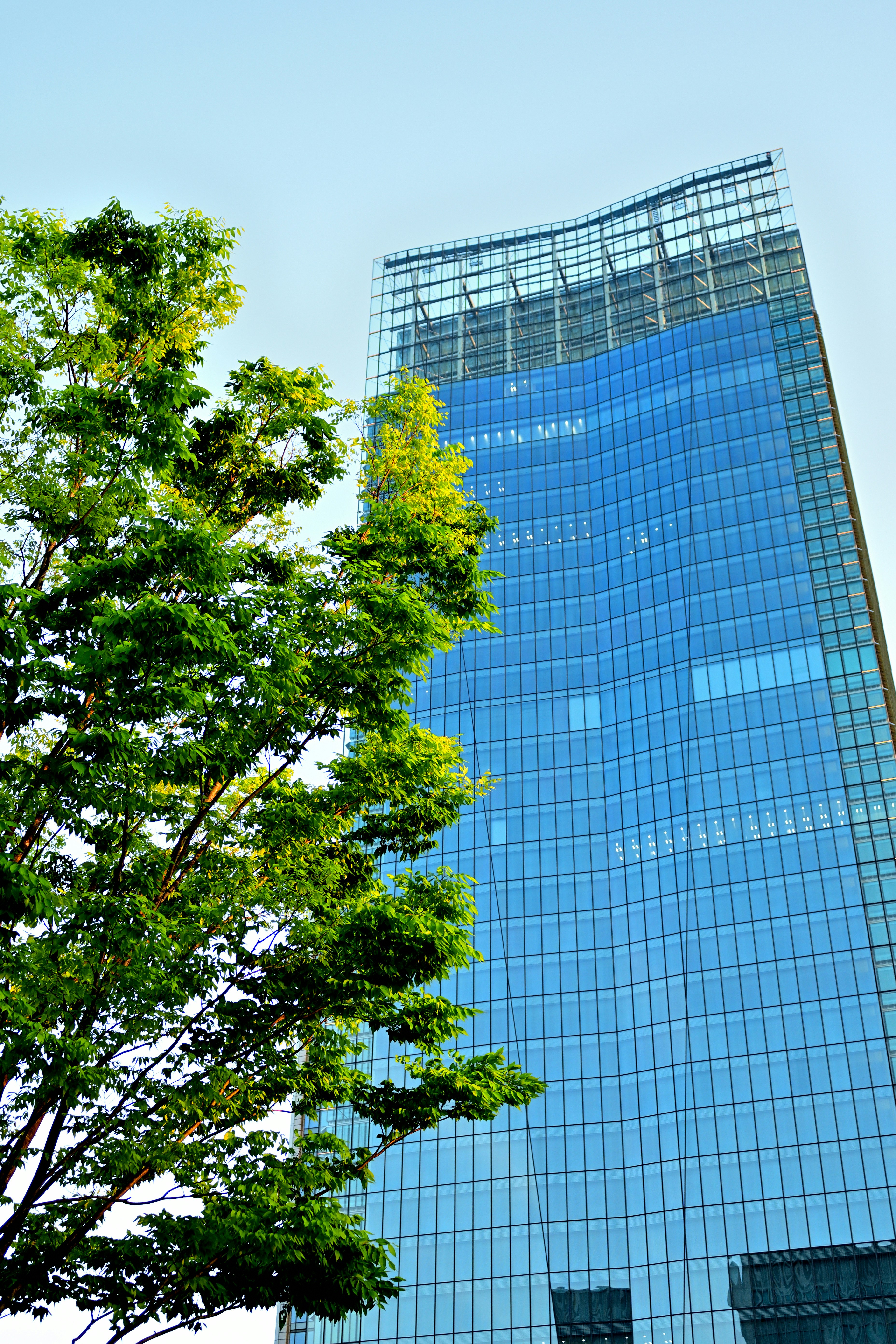 Azure Glass Tower: Skyline Framed by a Green Canopy