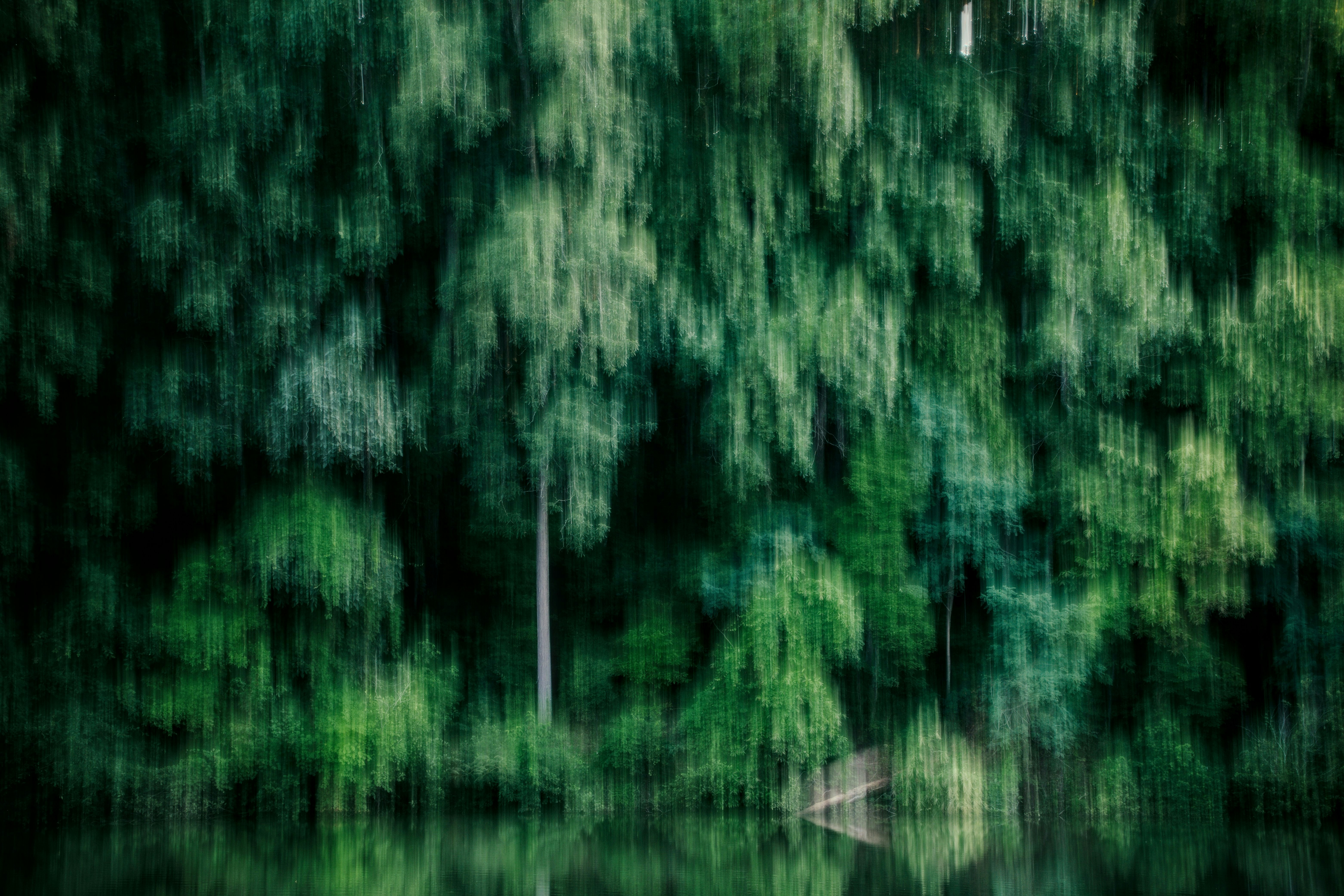 Beau Carpenter (@btcarpenter) | Unsplash Photo Community