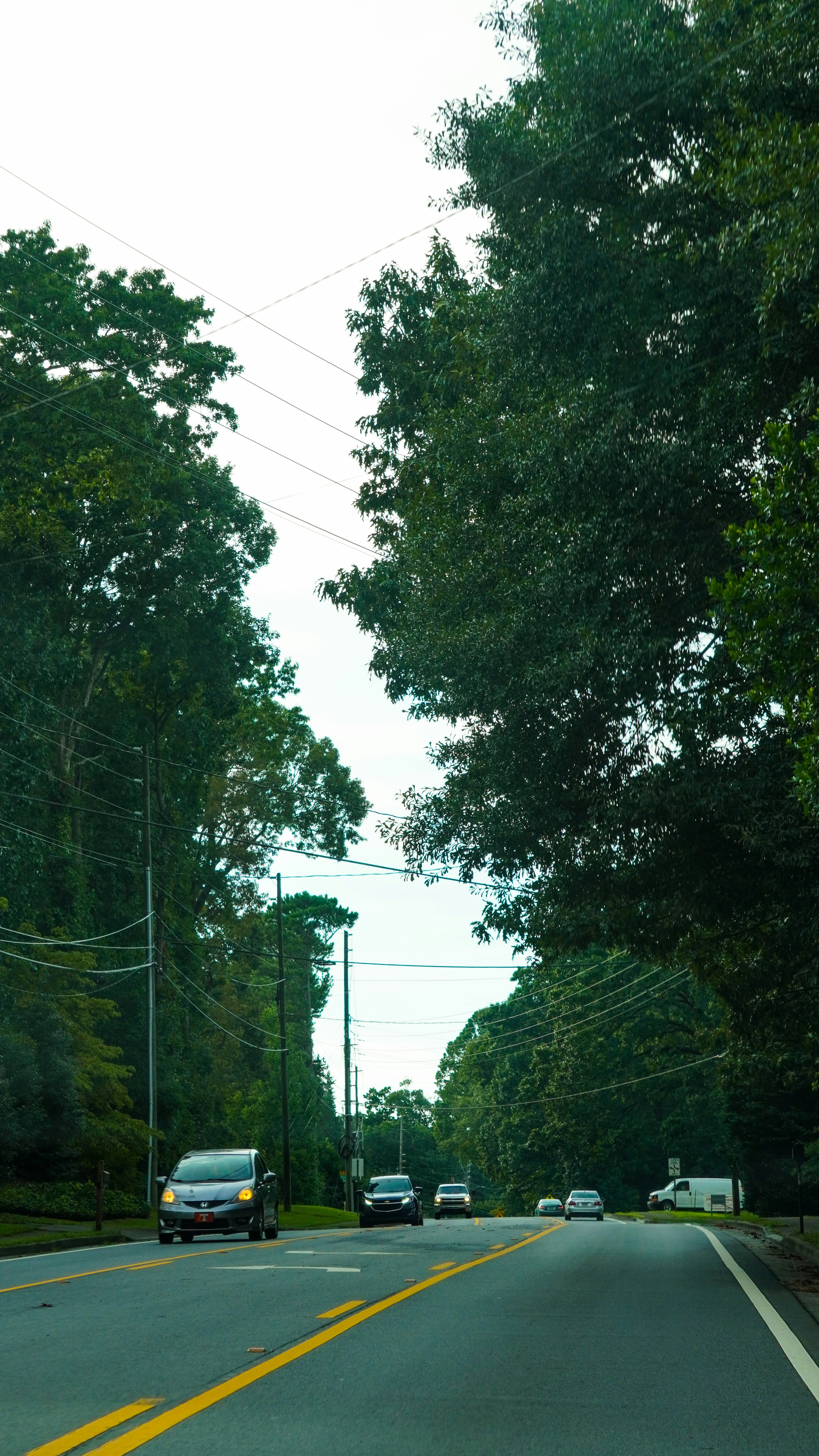 a street with cars and trees on the side