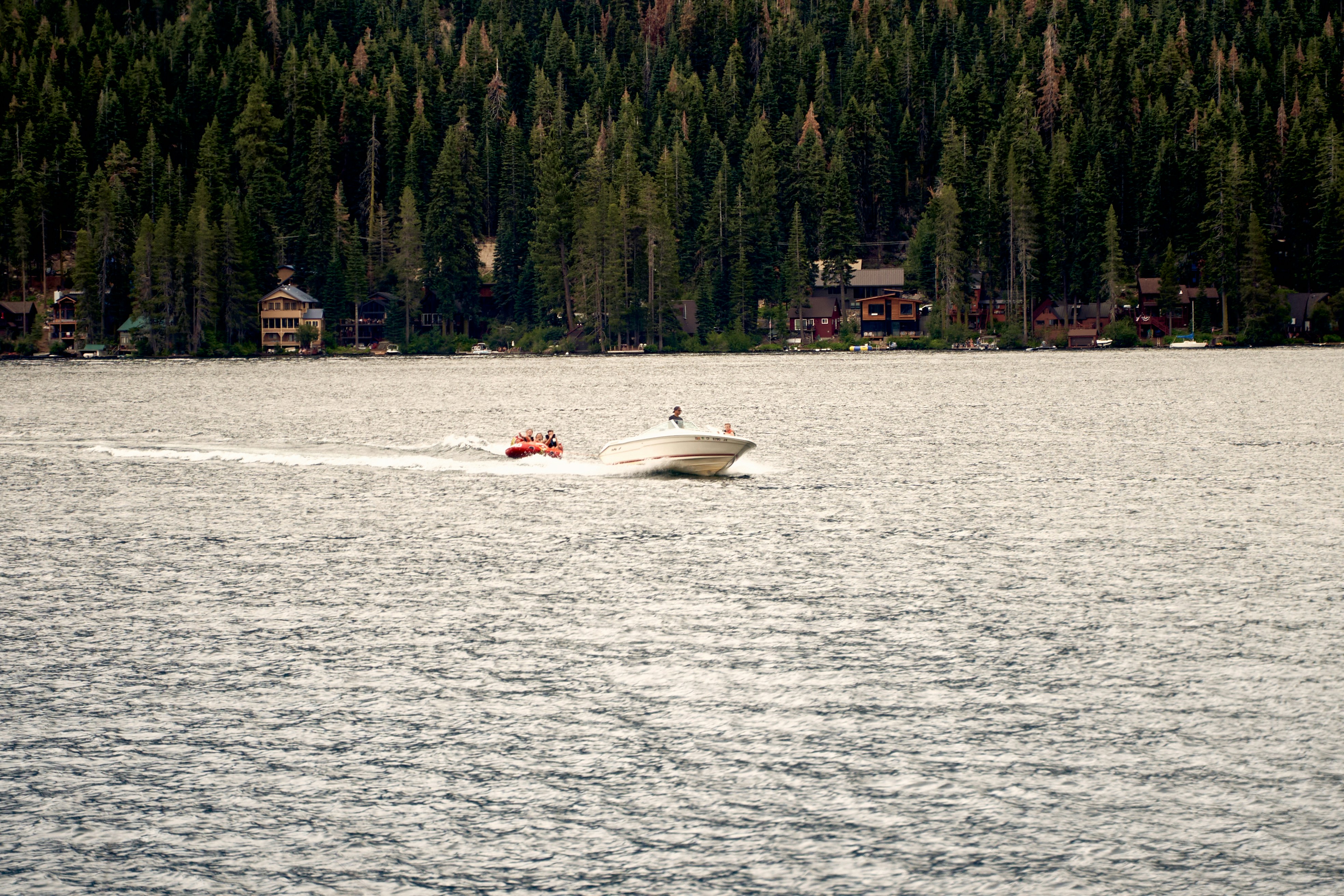 Speedboat cutting through calm lake waters with a forested shoreline in the background.