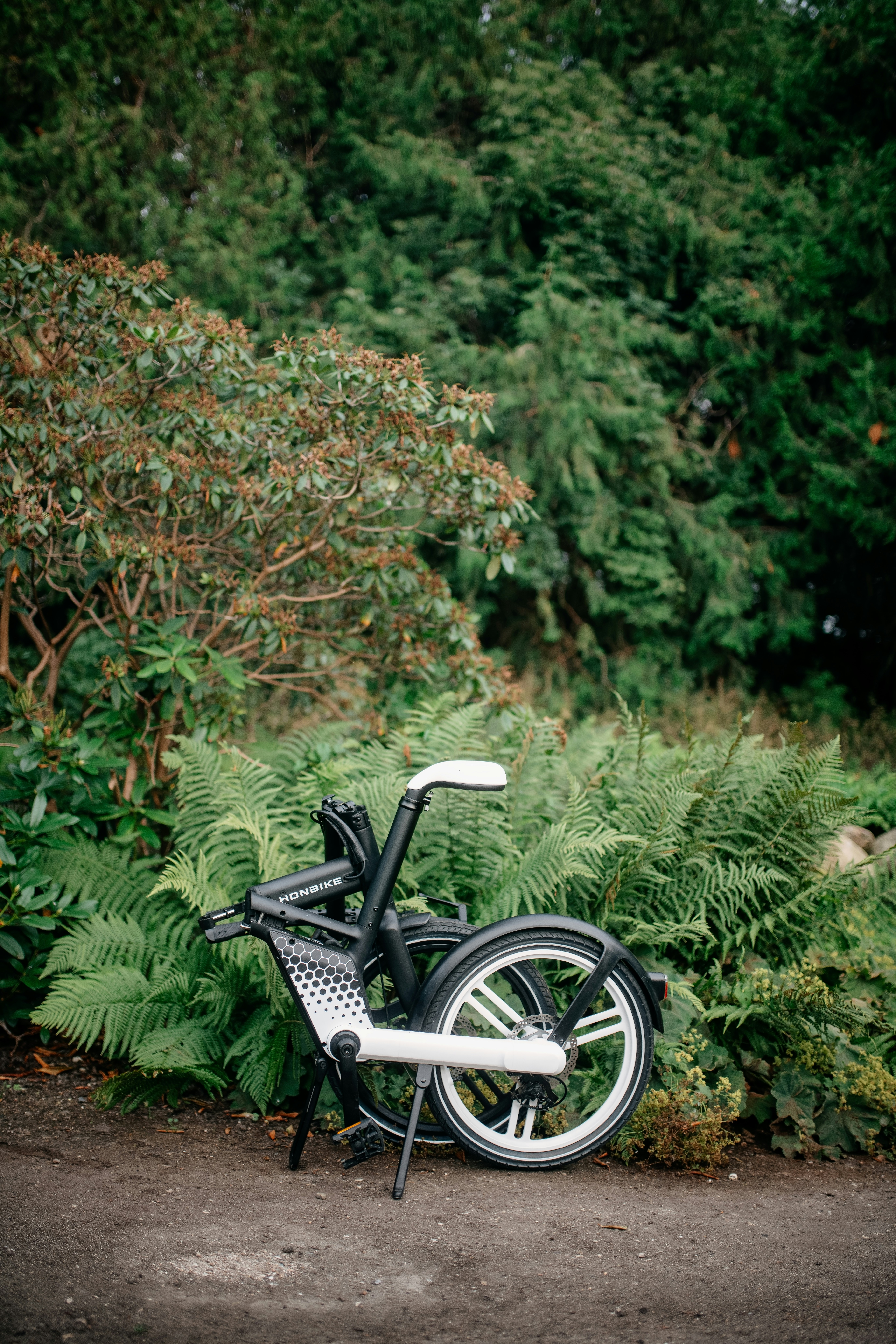 A bicycle parked in front of a bush photo – Free Bike Image on Unsplash