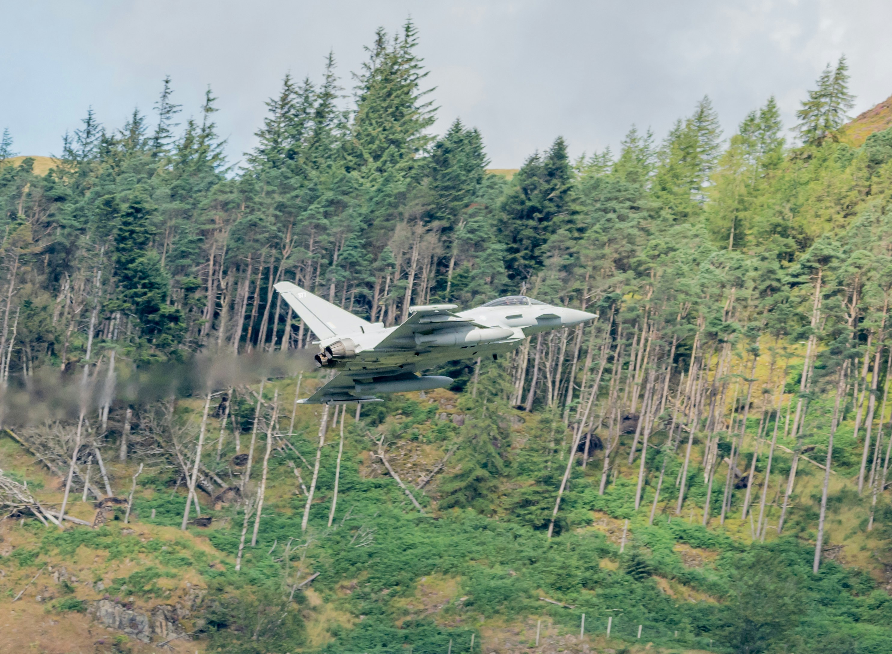 A military jet flies low over a dense forest, trailing smoke against a backdrop of towering trees. The dynamic scene captures the juxtaposition of technology and nature.
