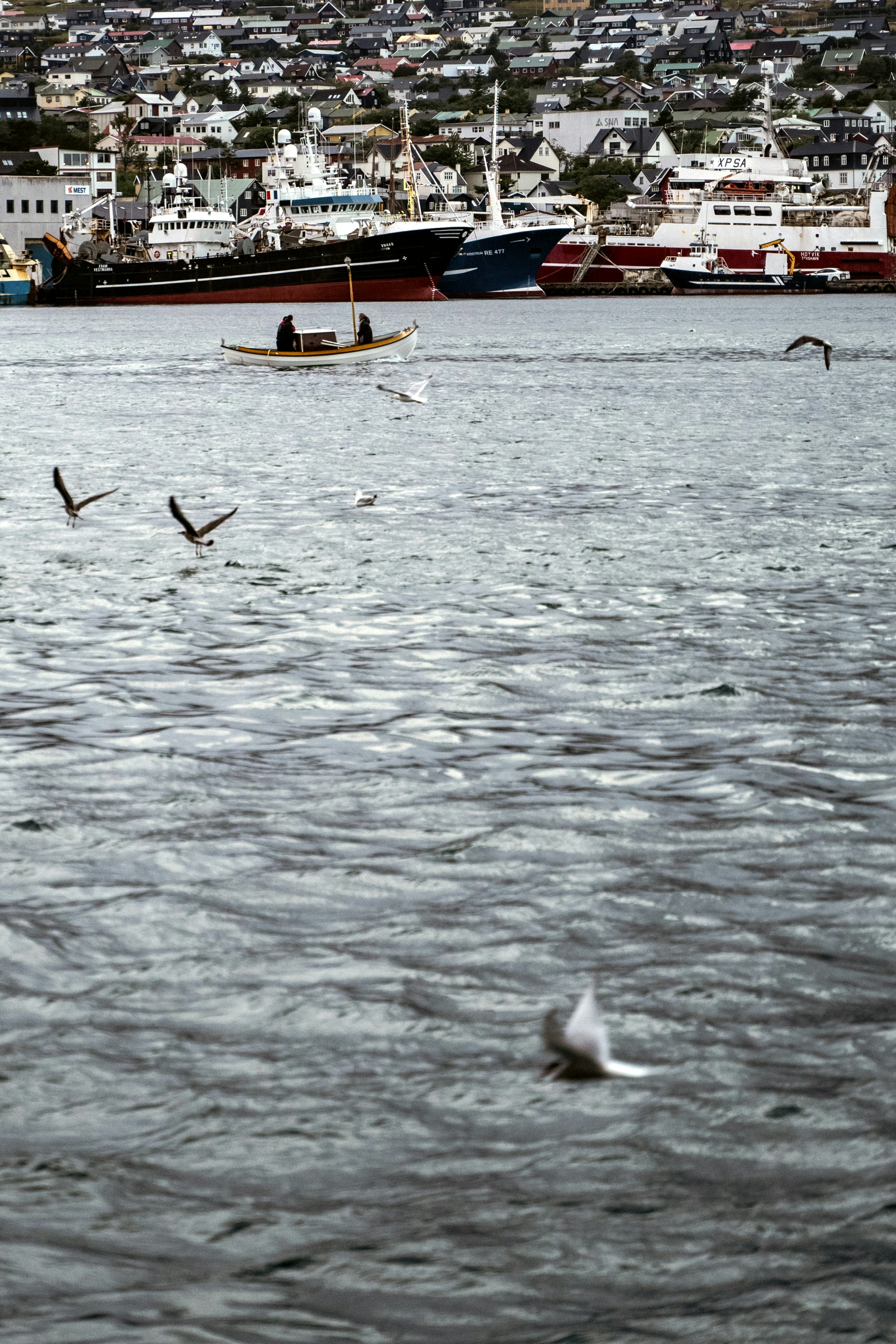 Quiet Row Against a Fleet: A Small Boat Beside a Harbor of Ships