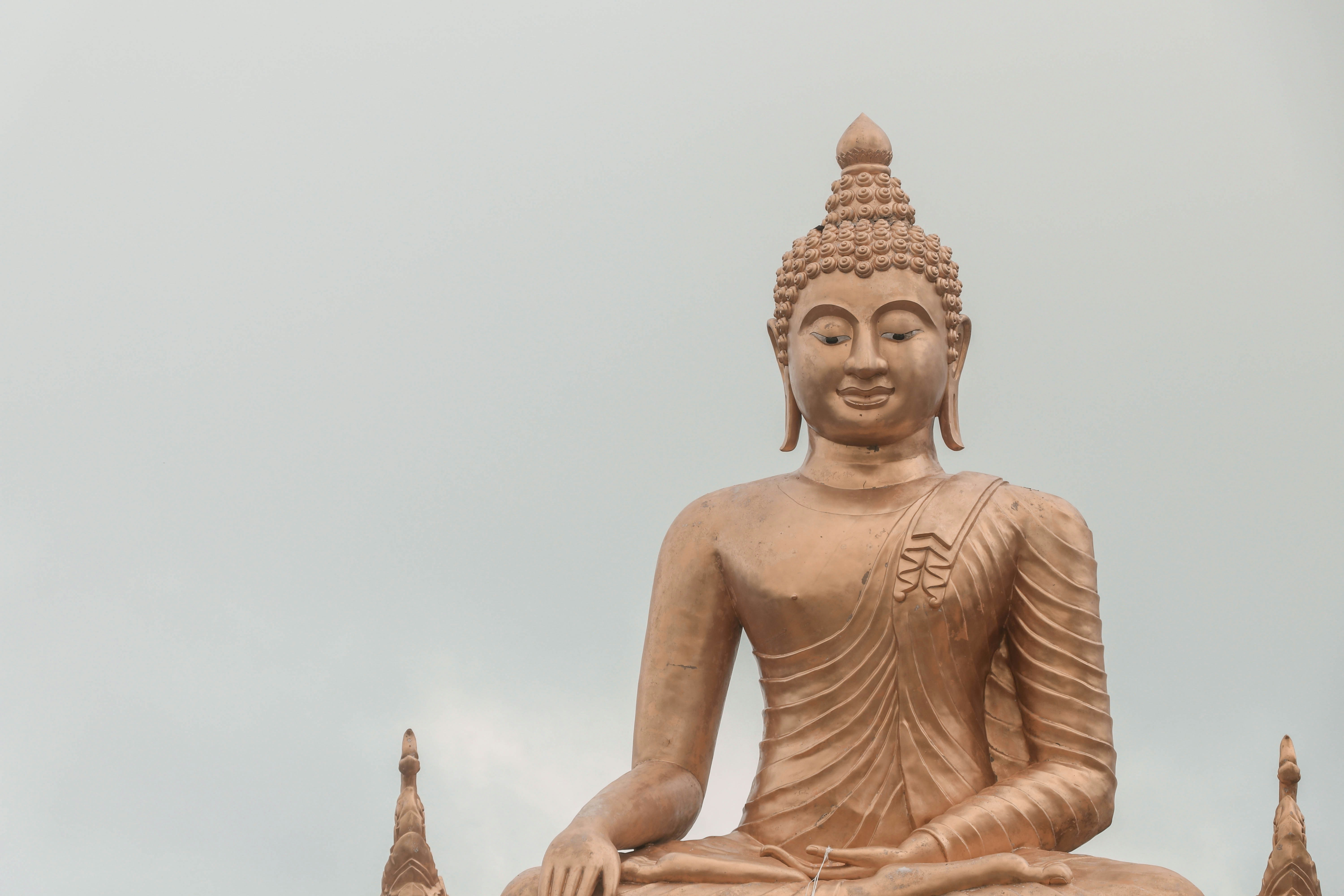 Callous Gee (@callouswashere) | Komunitas Foto Unsplash