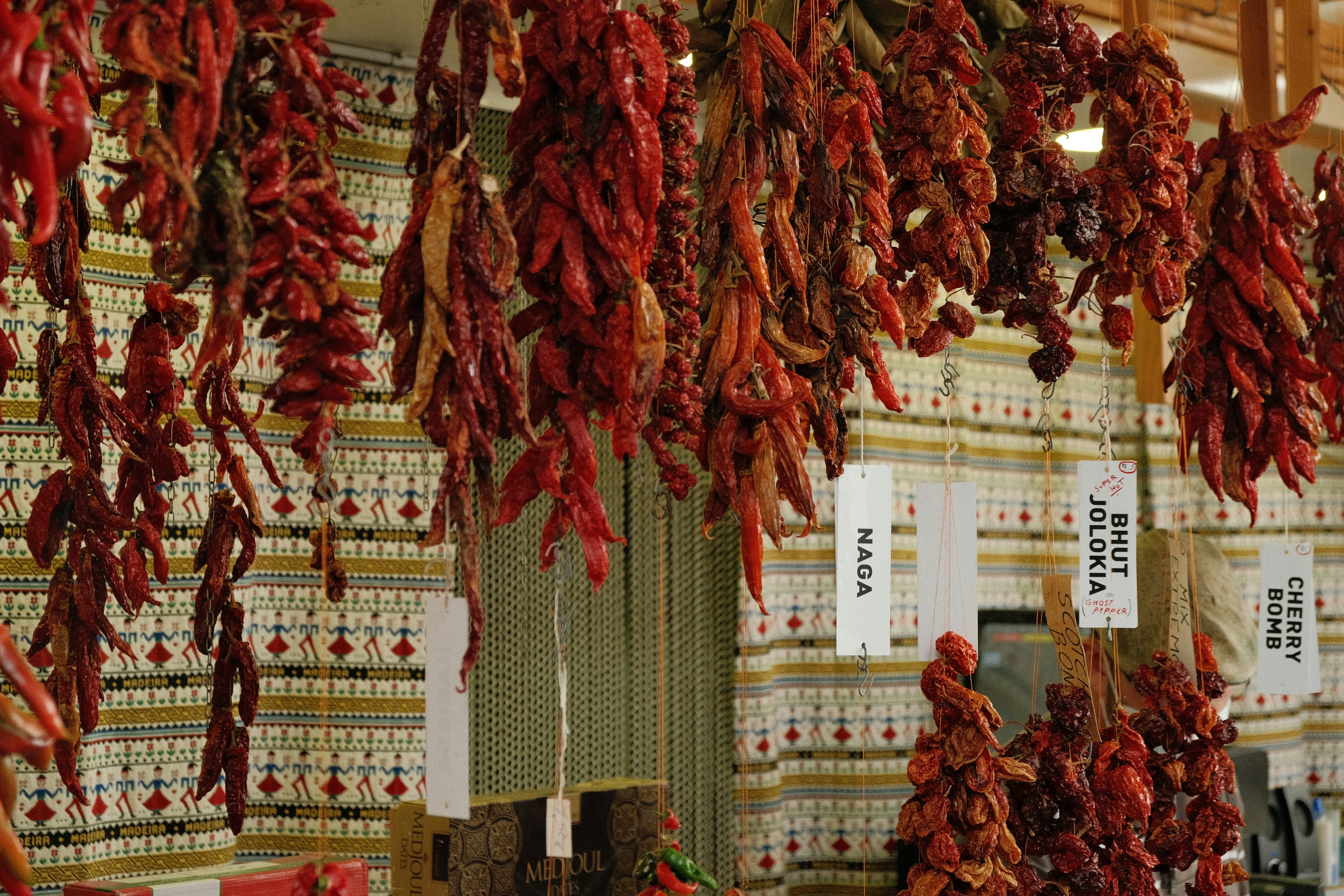 Un bouquet de piments rouges d’une ficelle photo – Image gratuite de ...