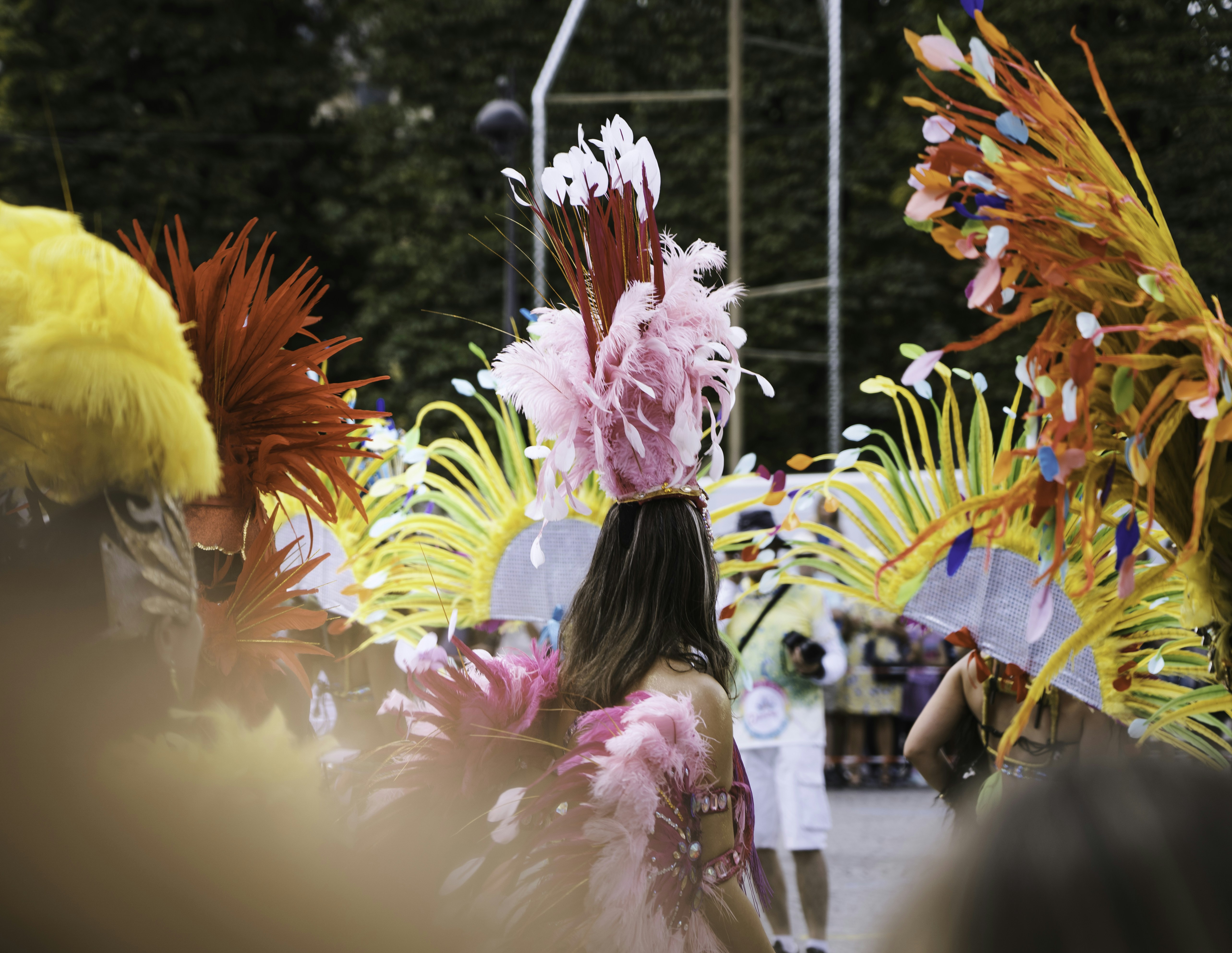 Samba Pictures | Download Free Images on Unsplash