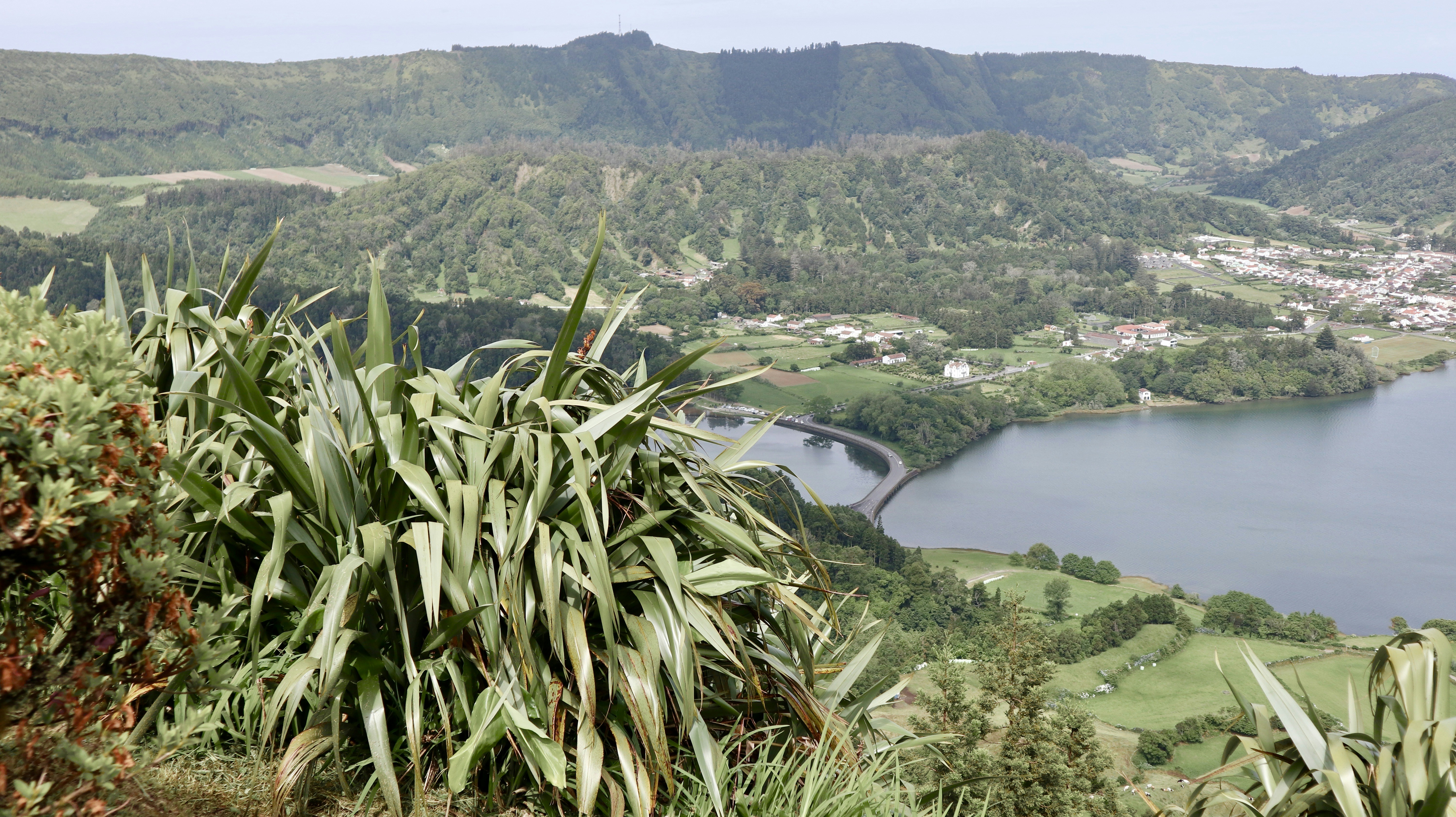 Lush greenery overlooking a serene lake and distant hills under a clear sky.
