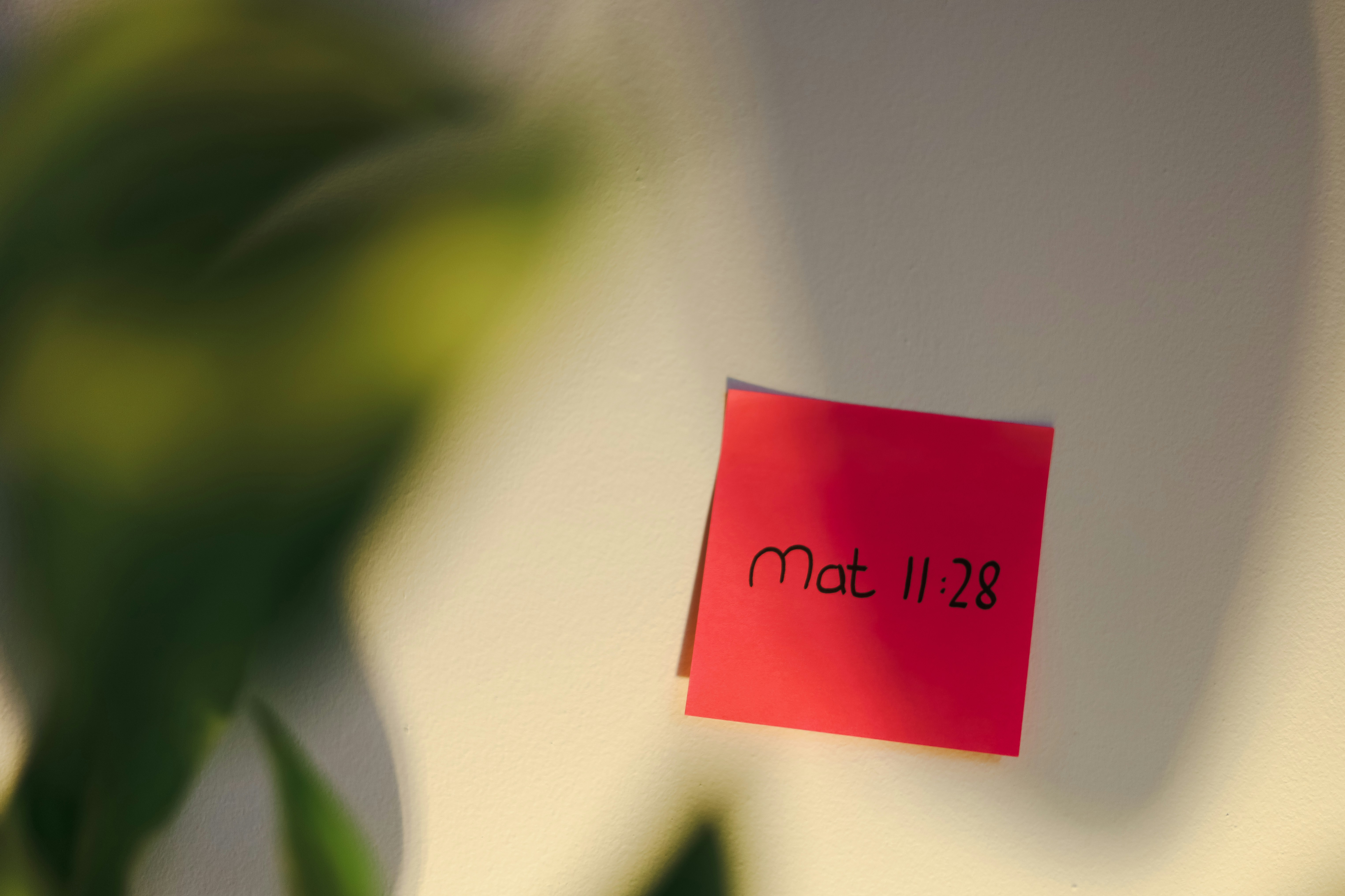 Bright pink sticky note with 'Mat 11:28' written on it, partially obscured by green leaves. The note is affixed to a light-colored wall.