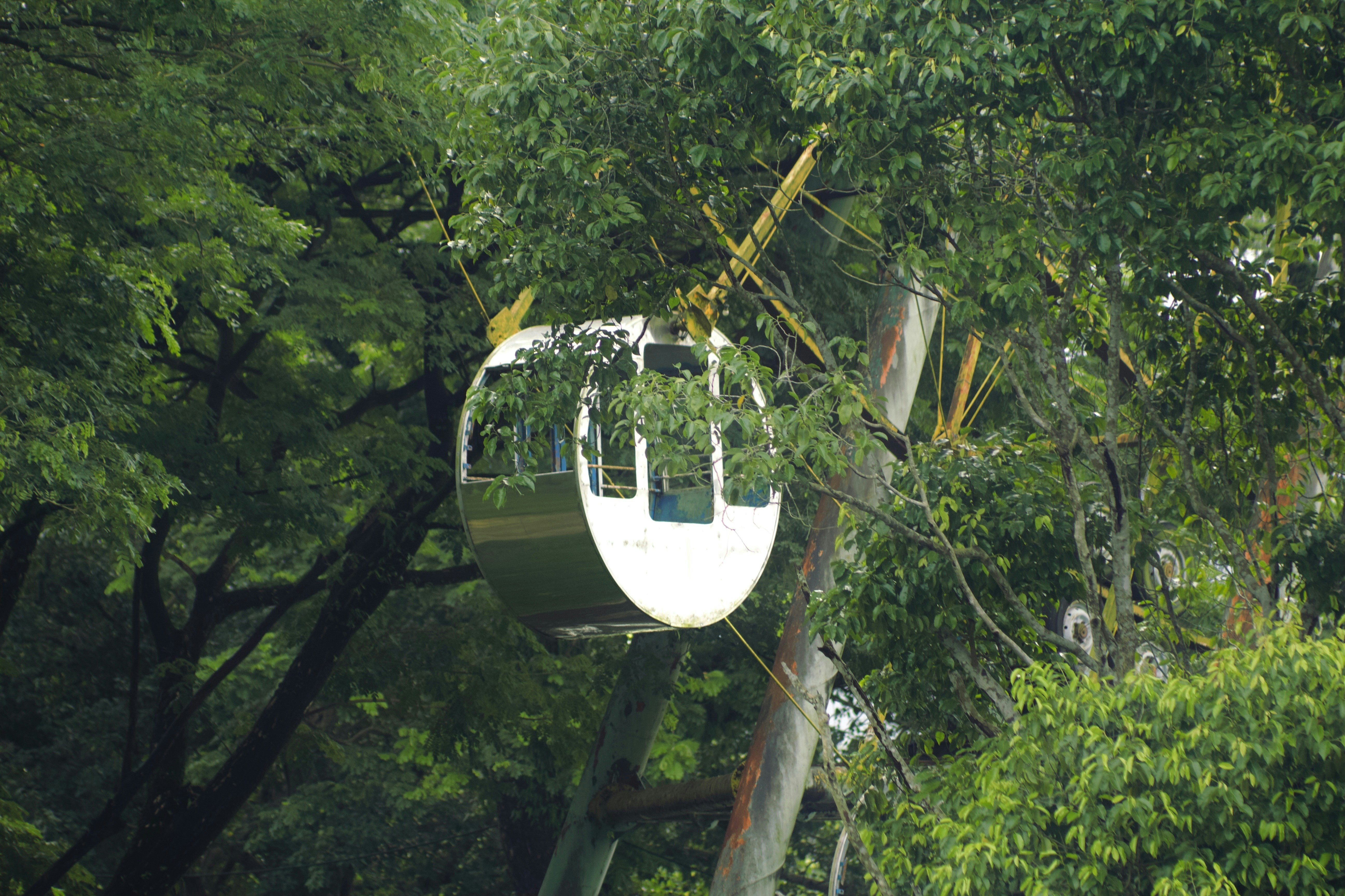 Forest Capsule: A White Cable Car Suspended in Green Canopy