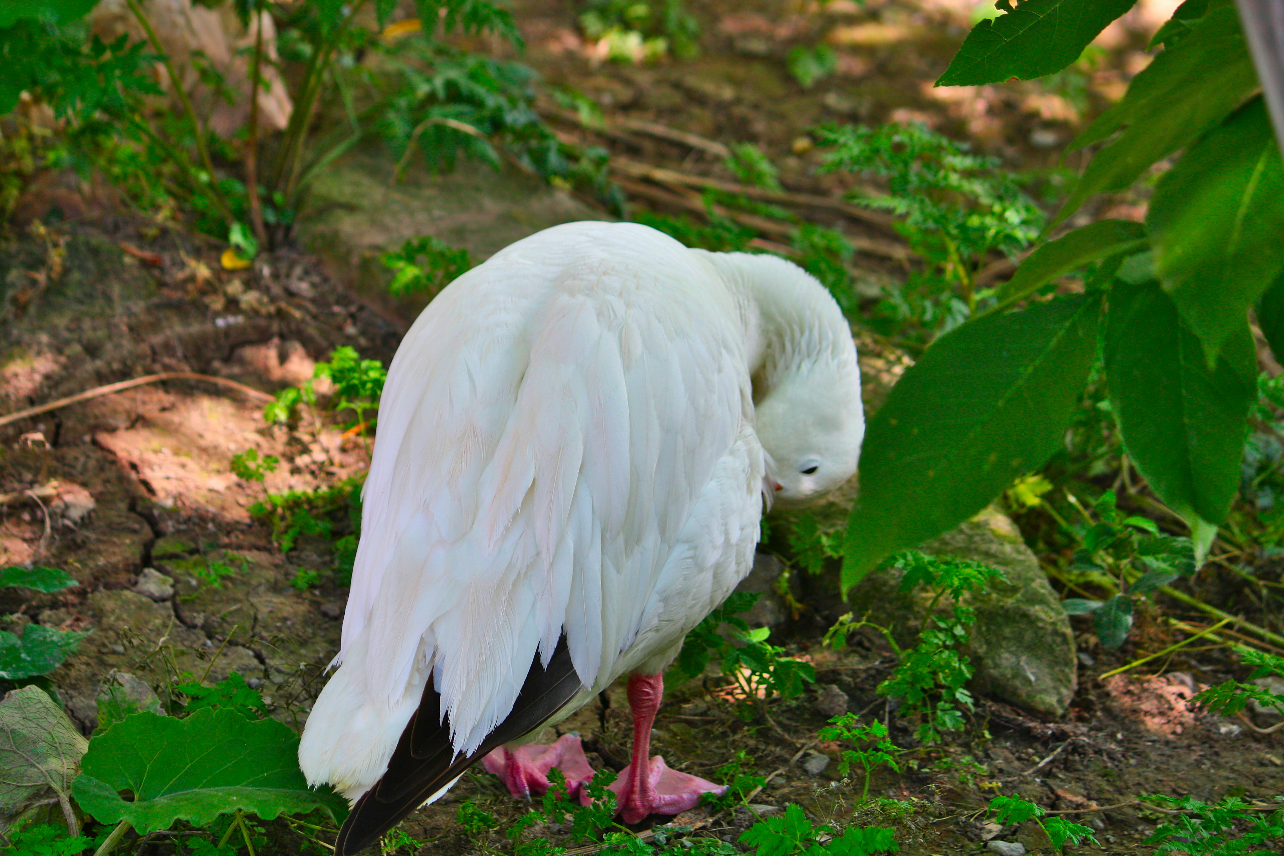 Photo by Ellienore B. with Canon EOS 450D