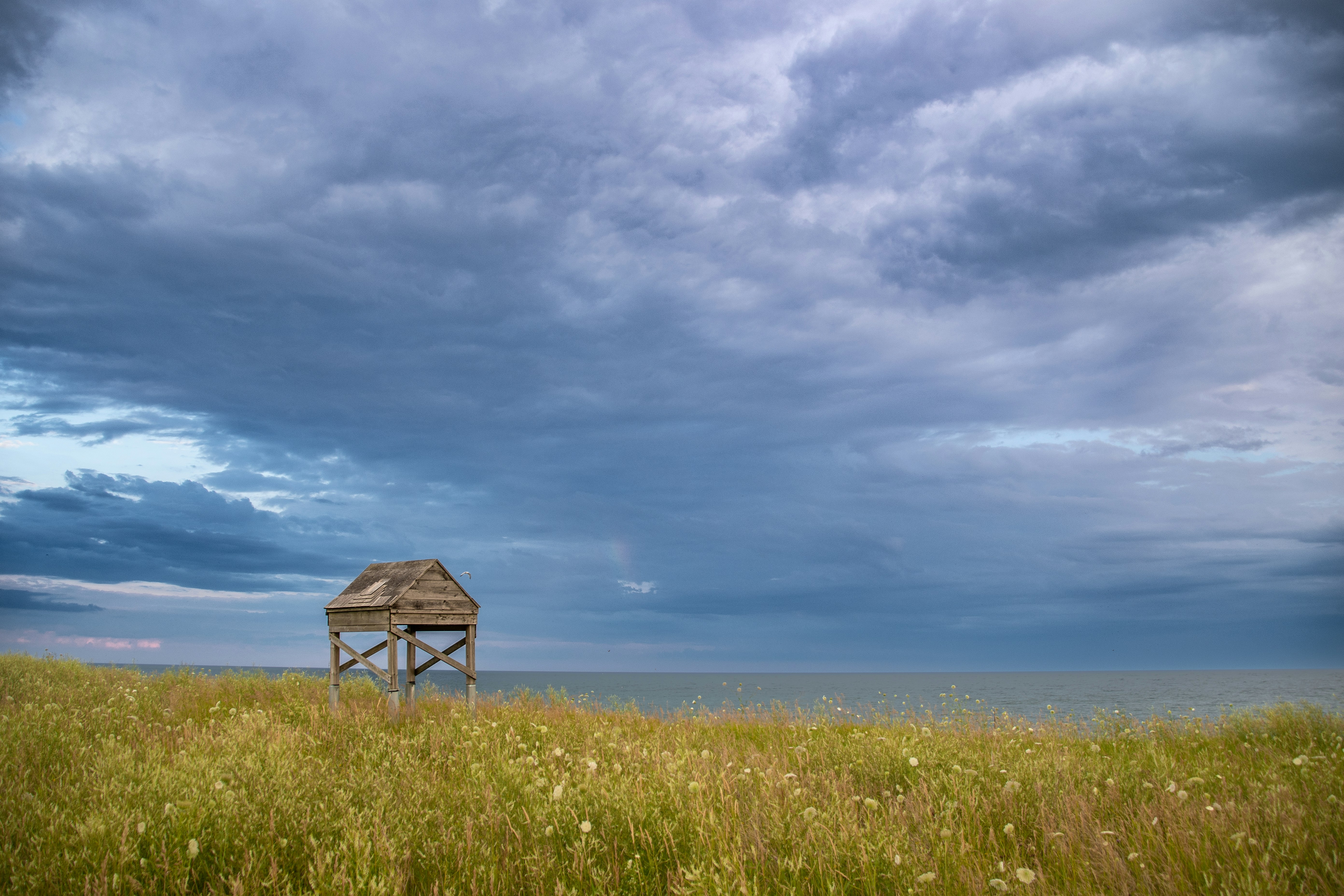 Shack on the Dune: A Quiet Horizon Over Blooming Grass